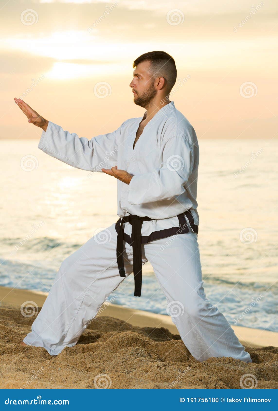 Man doing karate poses stock photo. Image of exercising - 191756180