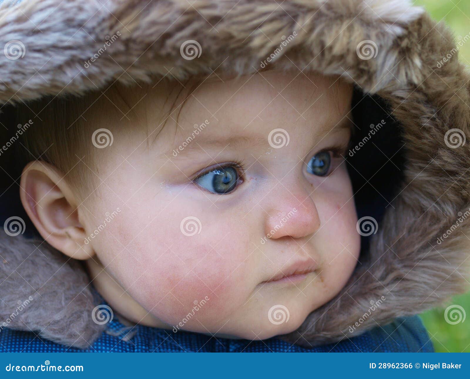 Serious Baby Face stock photo. Image of infant, beautiful - 28962366