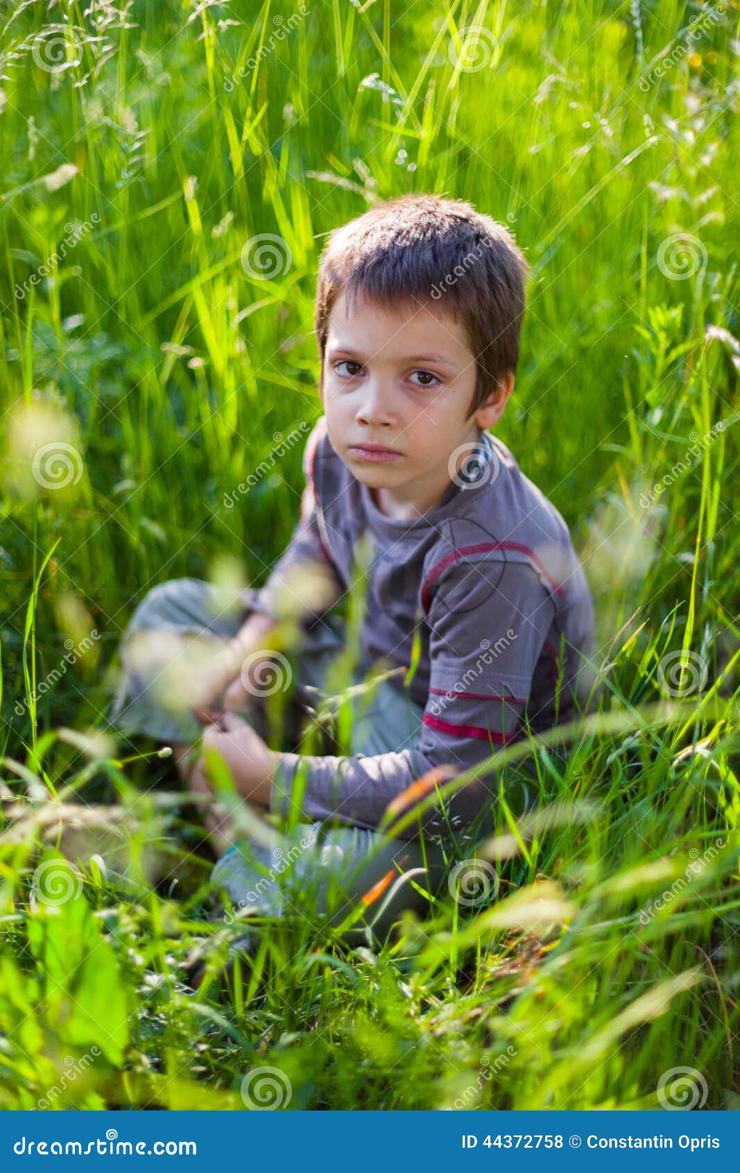 Serious Boy Sitting in Grass Stock Photo - Image of focused, outdoors ...