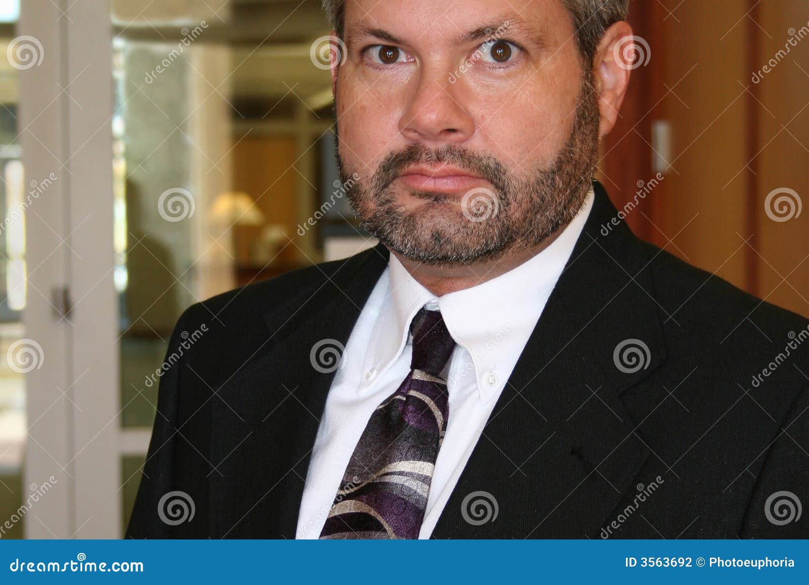 Serious Business Man stock photo. Image of boss, people - 3563692