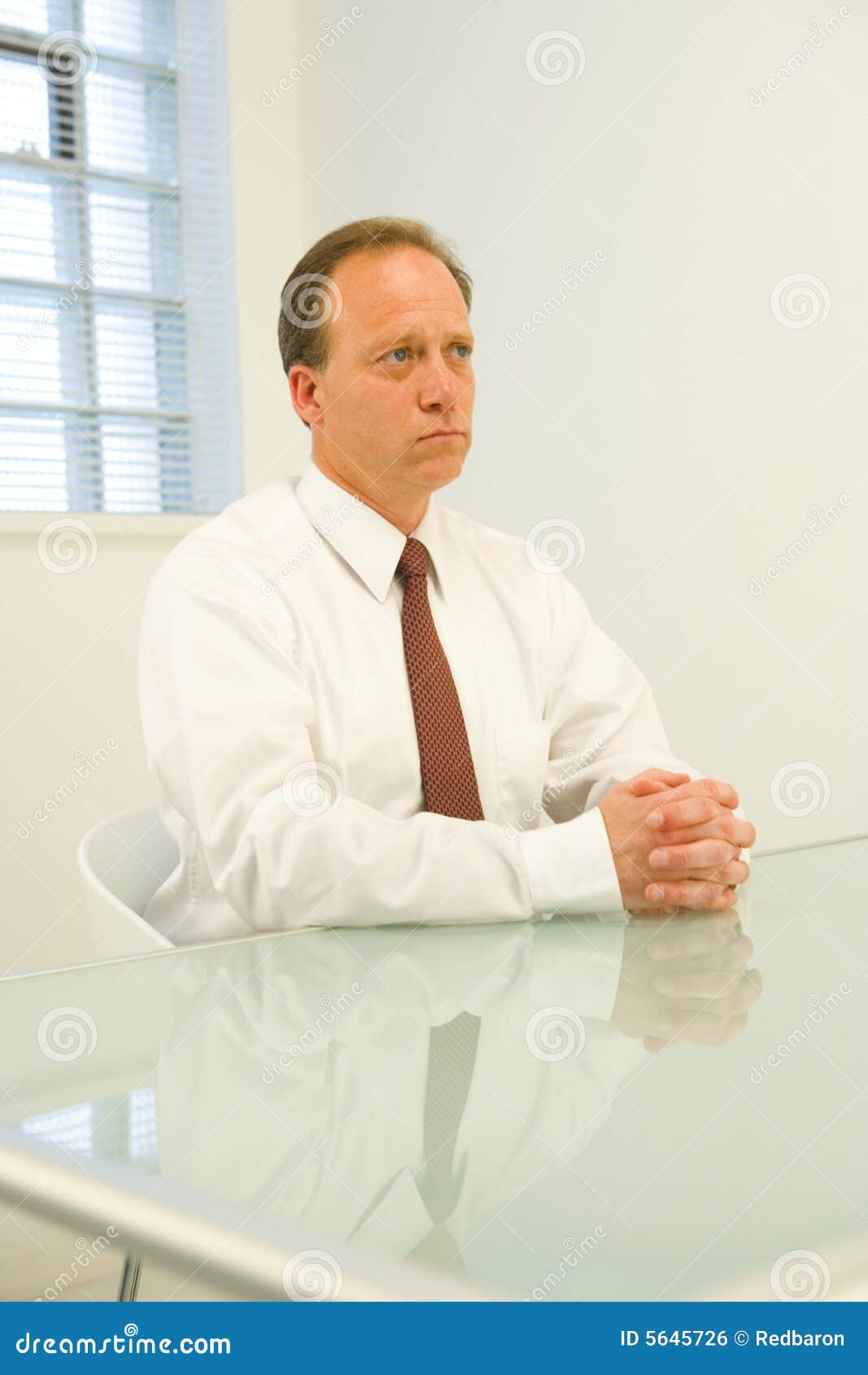 Serious businessman stock photo. Image of male, professional - 5645726