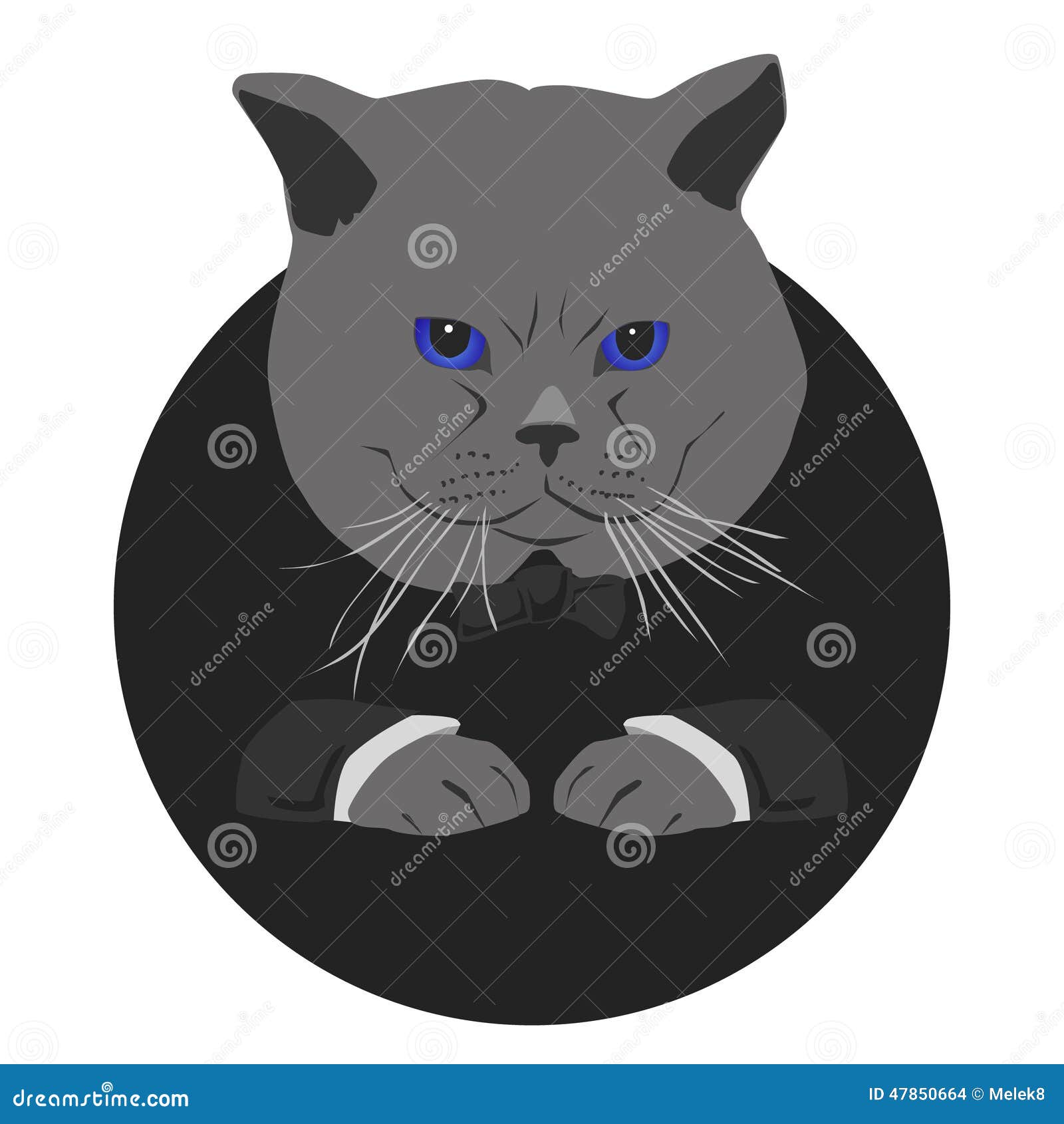 Serious cat stock vector. Illustration of bowtie, blue - 47850664