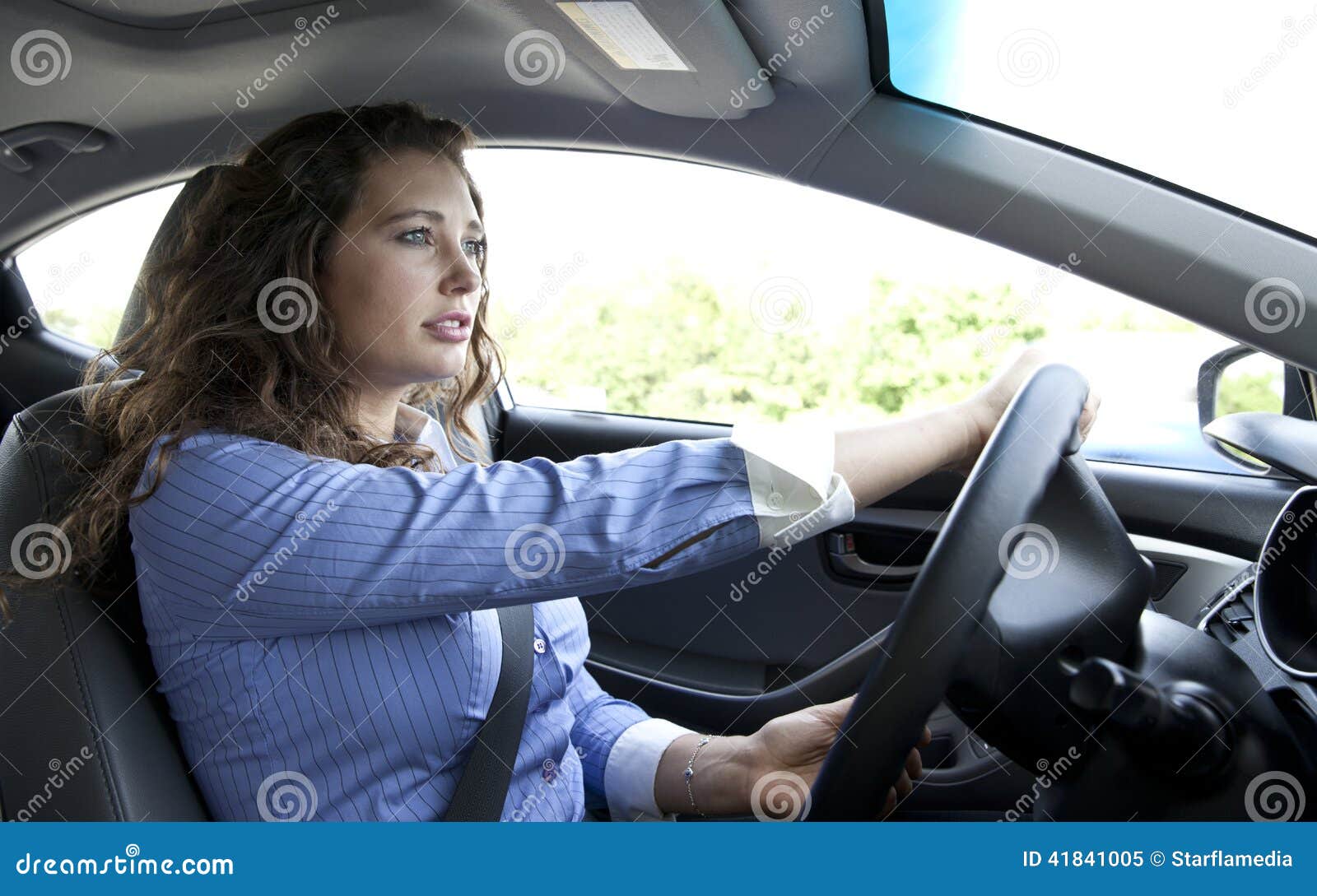 Serious Driver stock image. Image of transport, businesswoman - 41841005