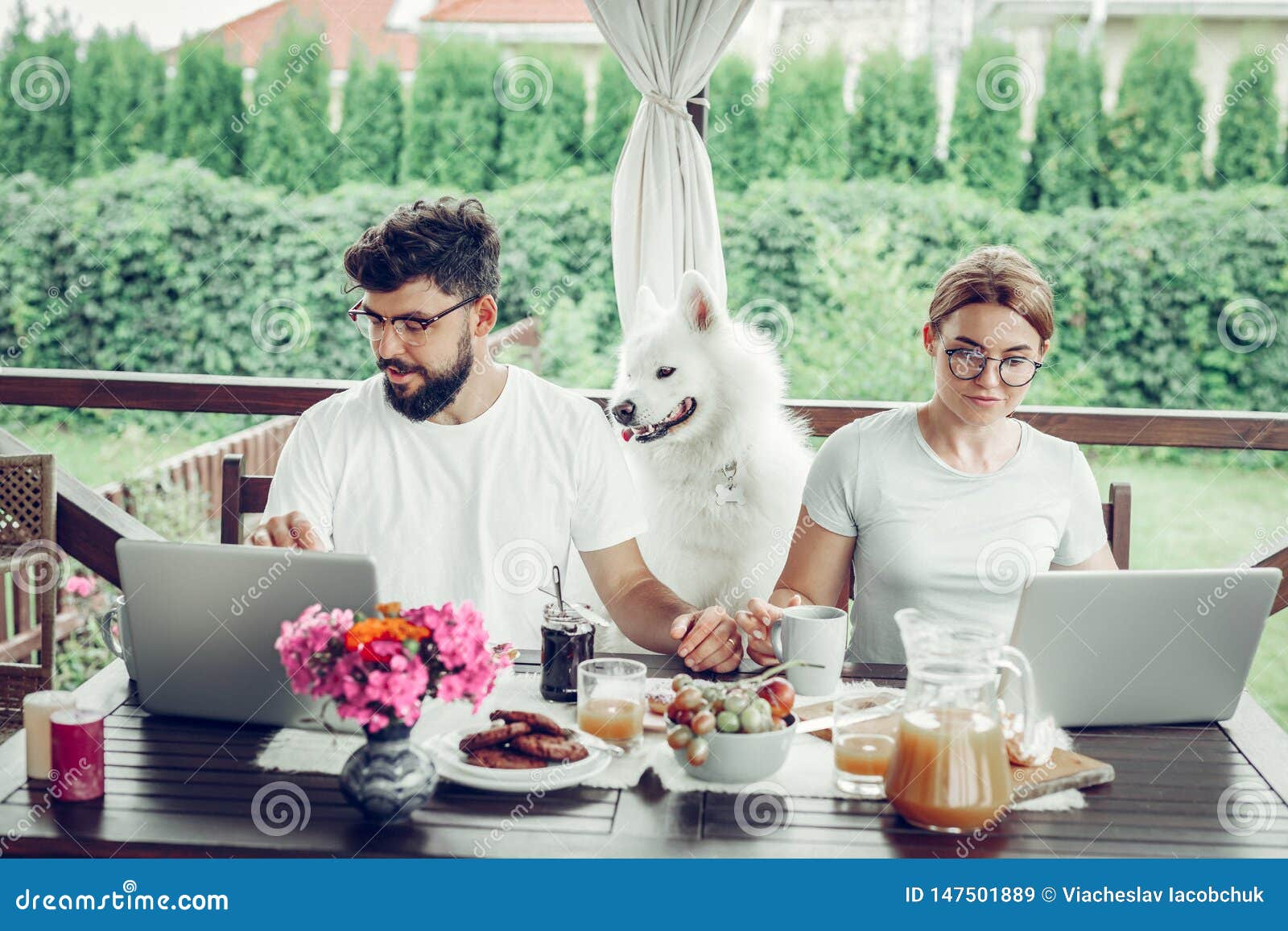 Serious Focused Married Couple Engaging in Remote Work on Laptops Stock ...