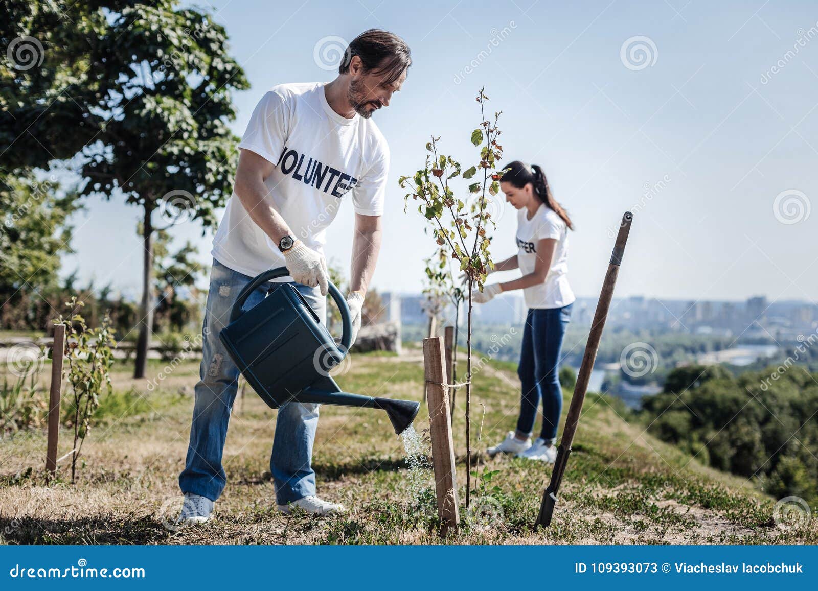 Serious Handsome Man Watering a Tree Stock Image - Image of global ... Serious Handsome Man Watering a Tree Stock Image - Image of global ...