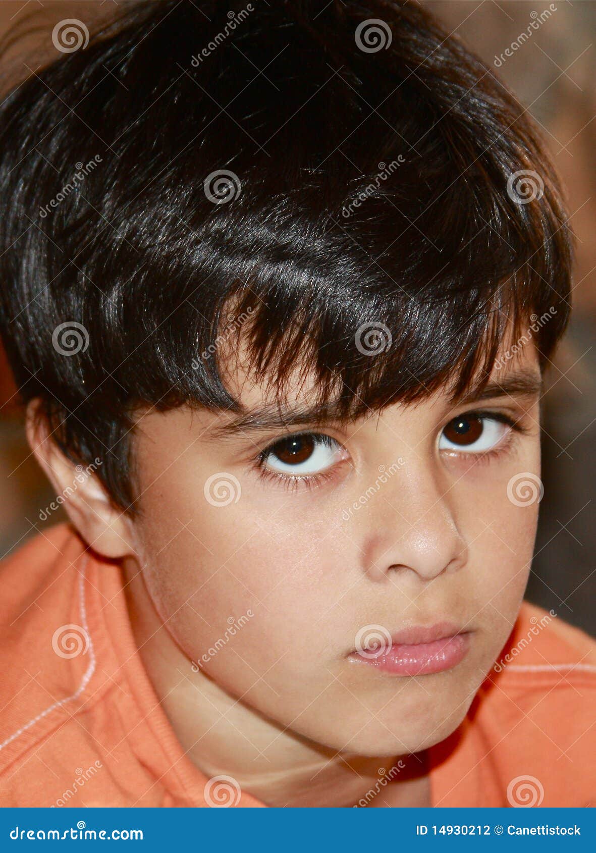 Serious Little Man stock photo. Image of brown, disappointed - 14930212