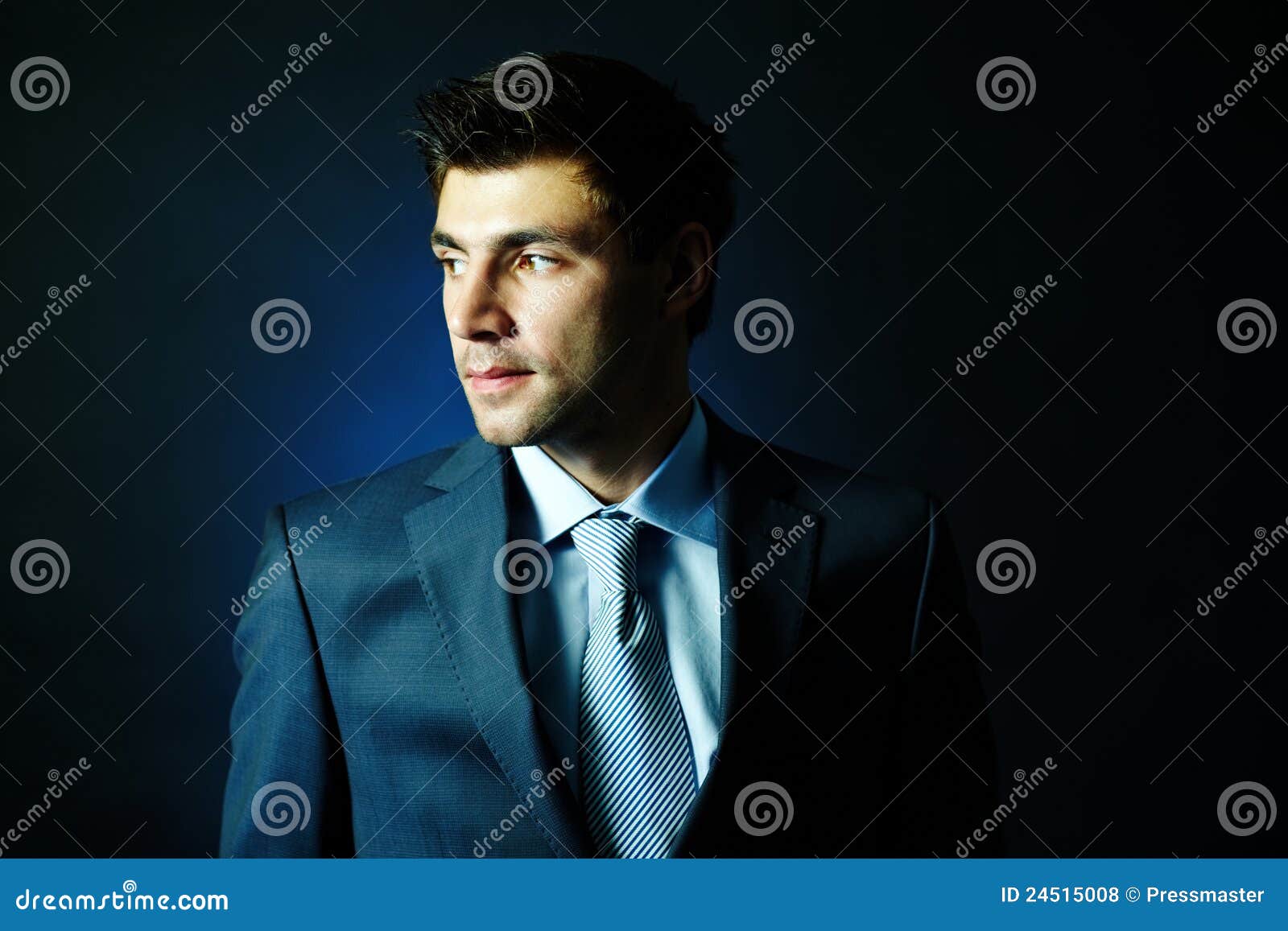 Serious man stock photo. Image of caucasian, chief, leadership - 24515008