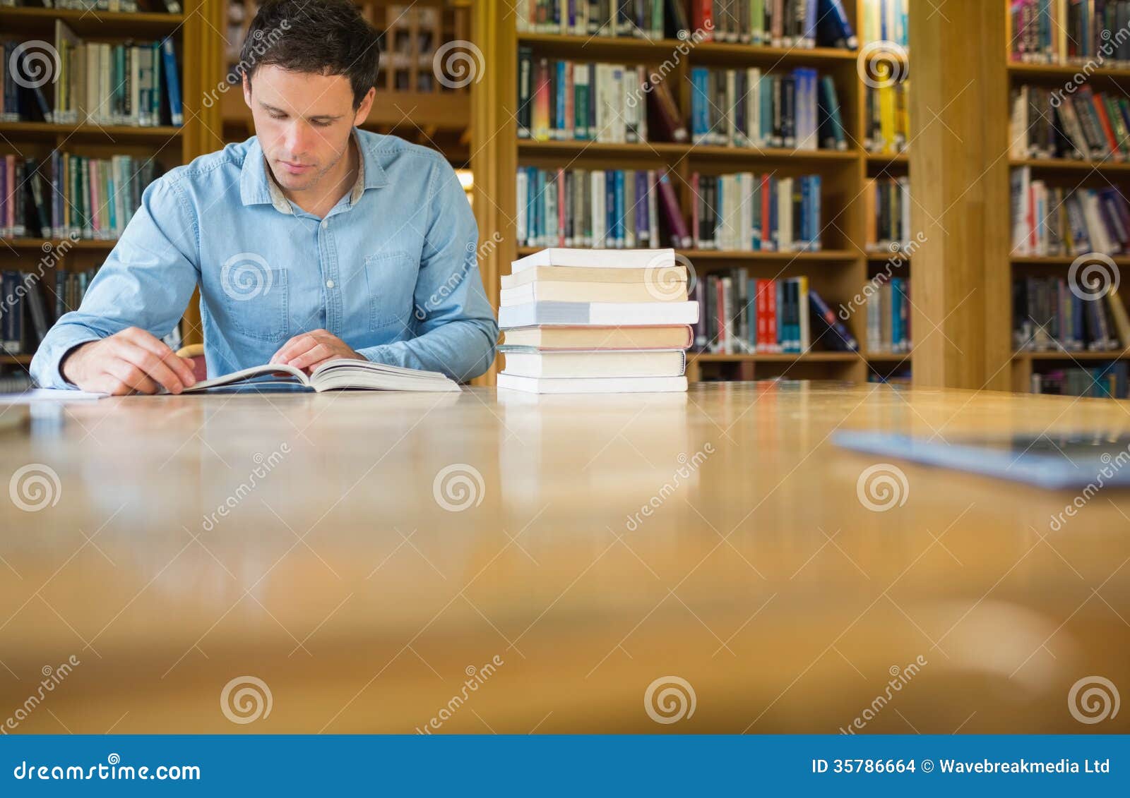 Serious Mature Student Studying at Library Desk Stock Photo - Image of ...