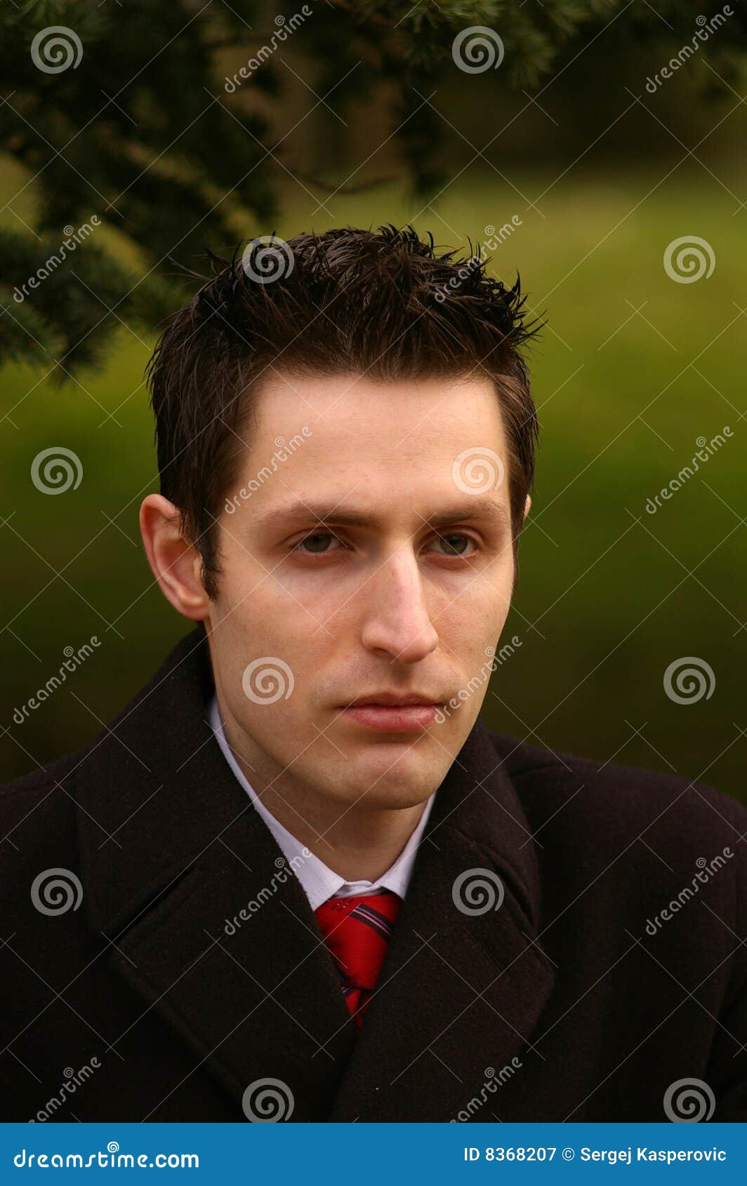 Serious men stock image. Image of confidence, occupation - 8368207