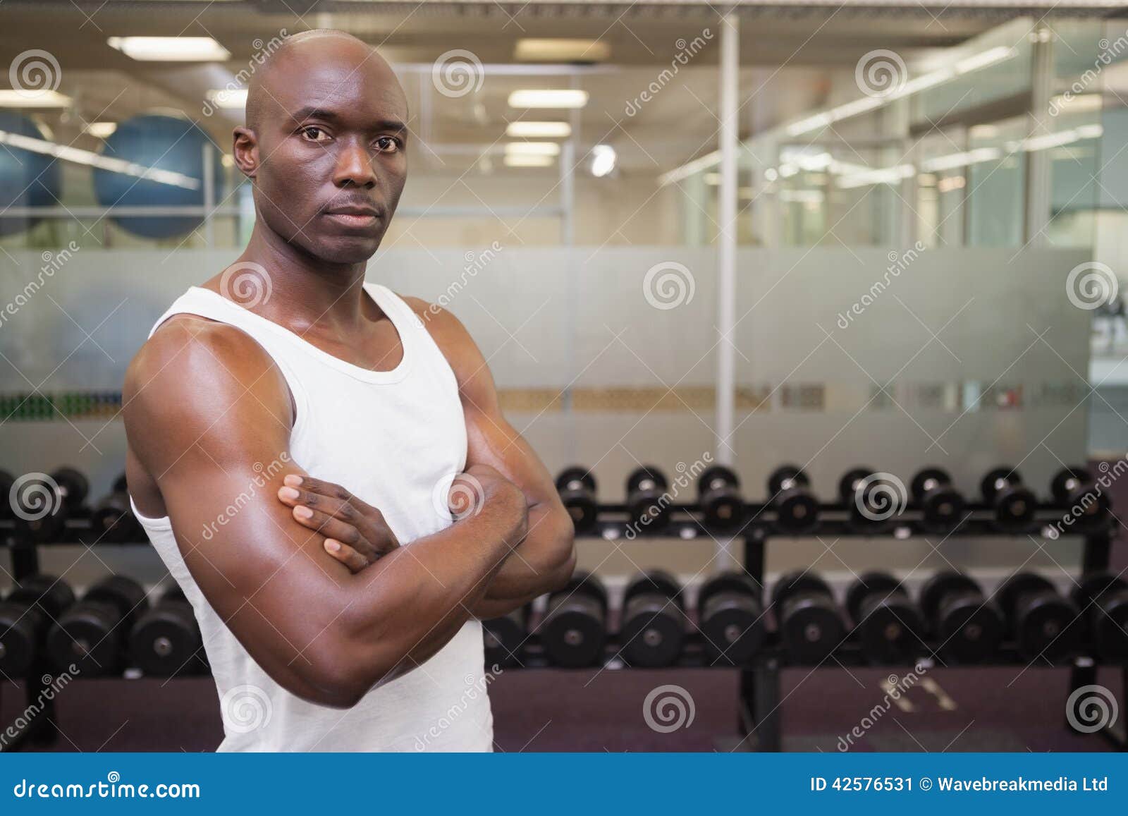Serious Muscular Man in Gym Stock Image - Image of masculine, healthy ...