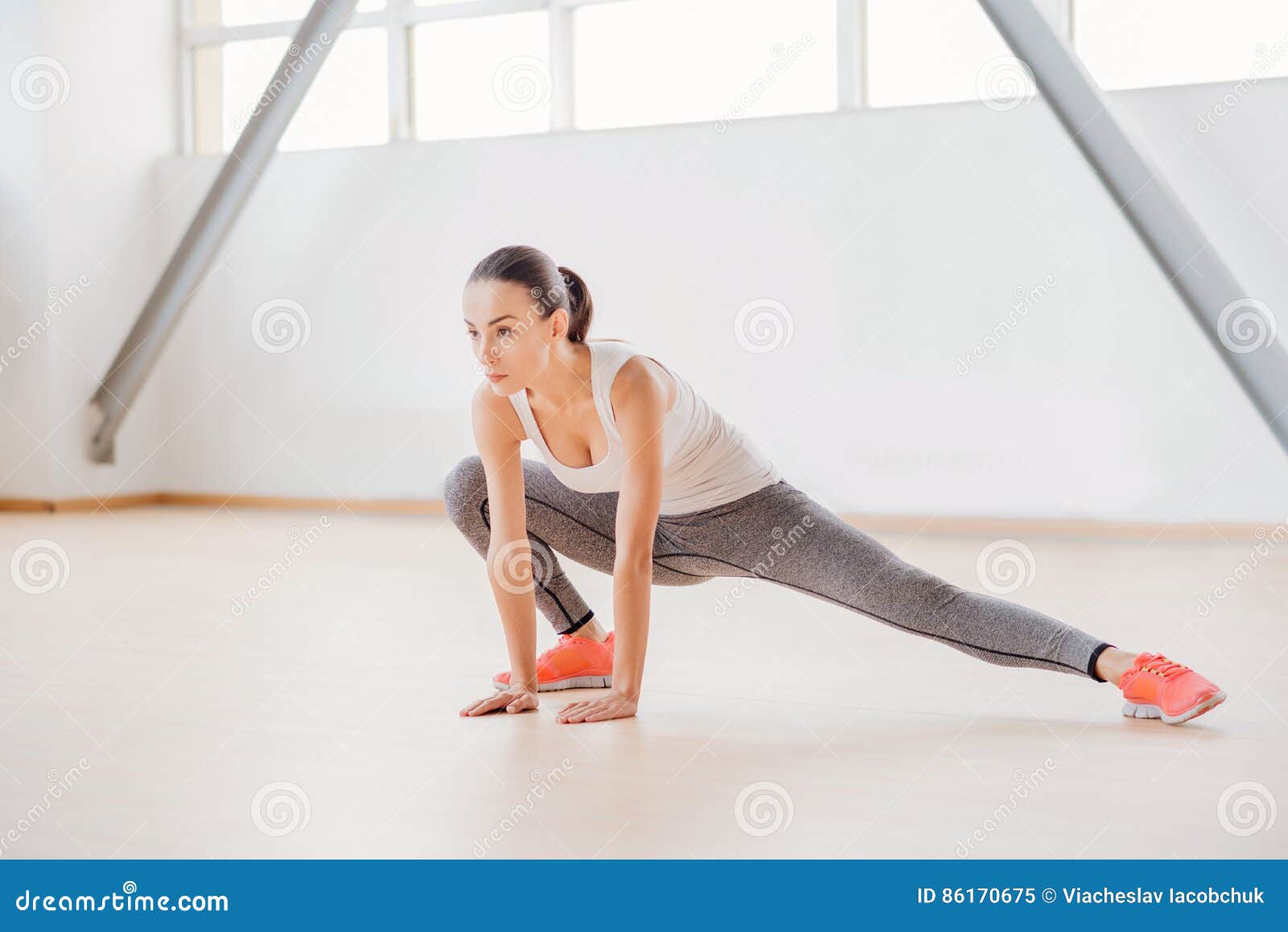 Serious Persistent Woman Doing a Physical Exercise Stock Image - Image ...