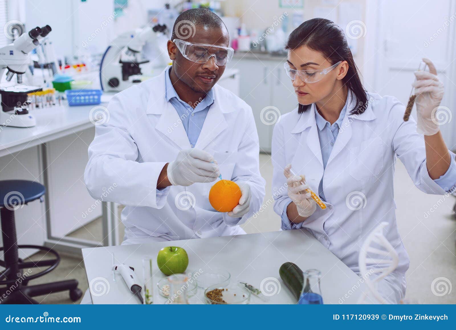 Serious Researchers Modifying Vegetables in the Lab Stock Image - Image ...