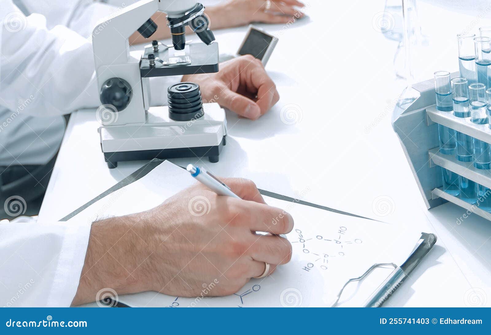 Serious Scientists Working in the Laboratory Stock Image - Image of ...