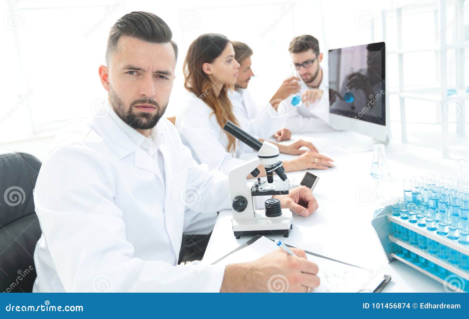 Serious Scientists Working in the Laboratory Stock Photo - Image of ...