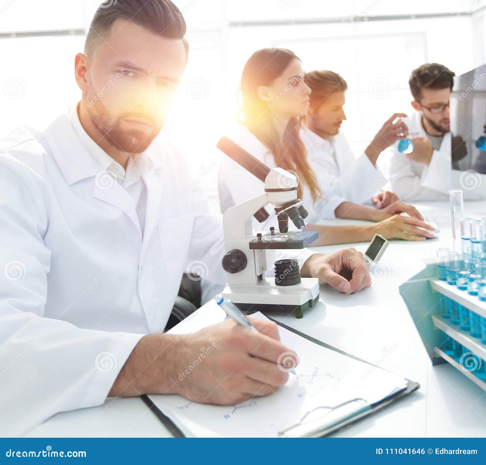 Serious Scientists Working in the Laboratory Stock Photo - Image of ...