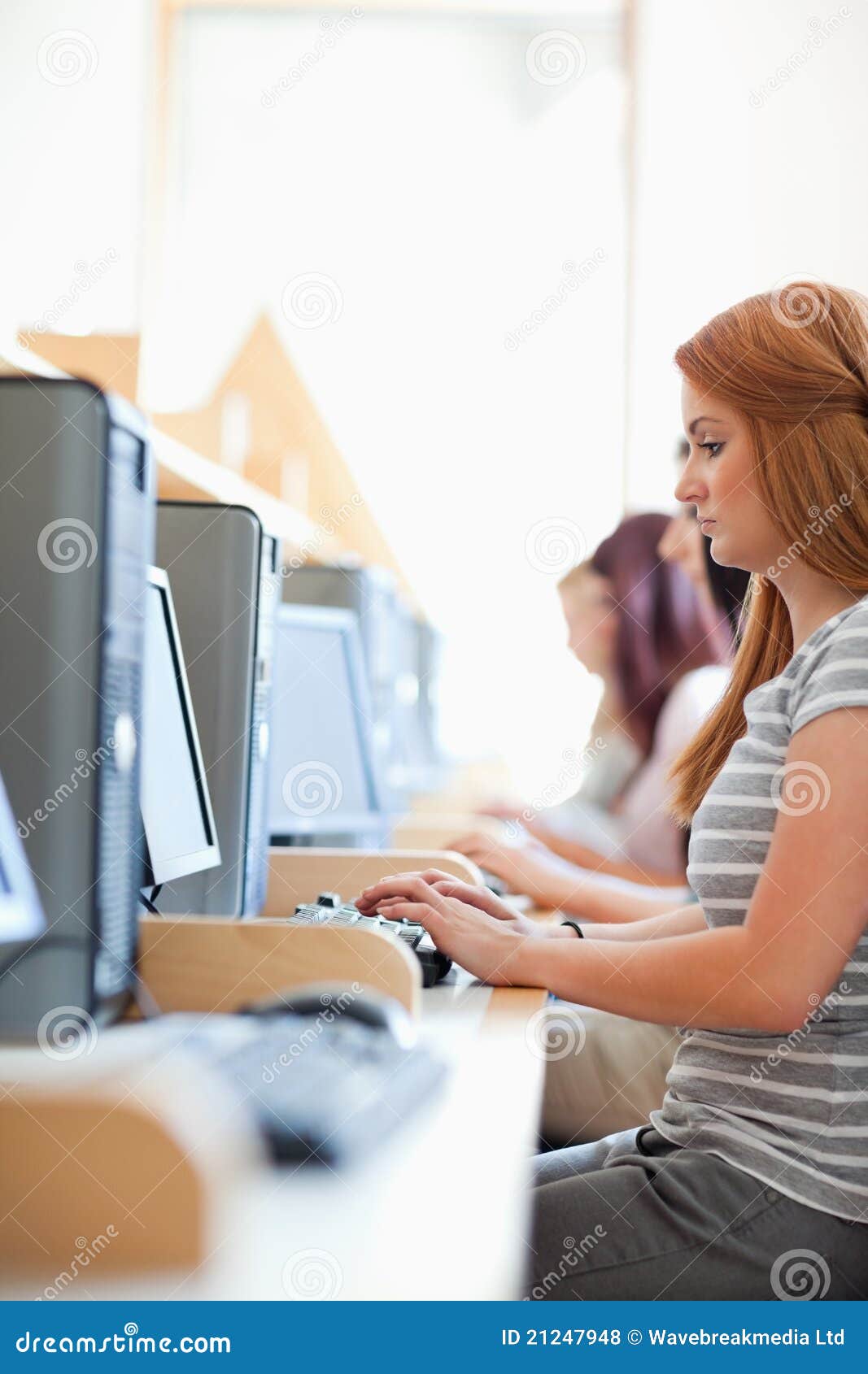 A Serious Student Working with a Computer Stock Photo - Image of ...