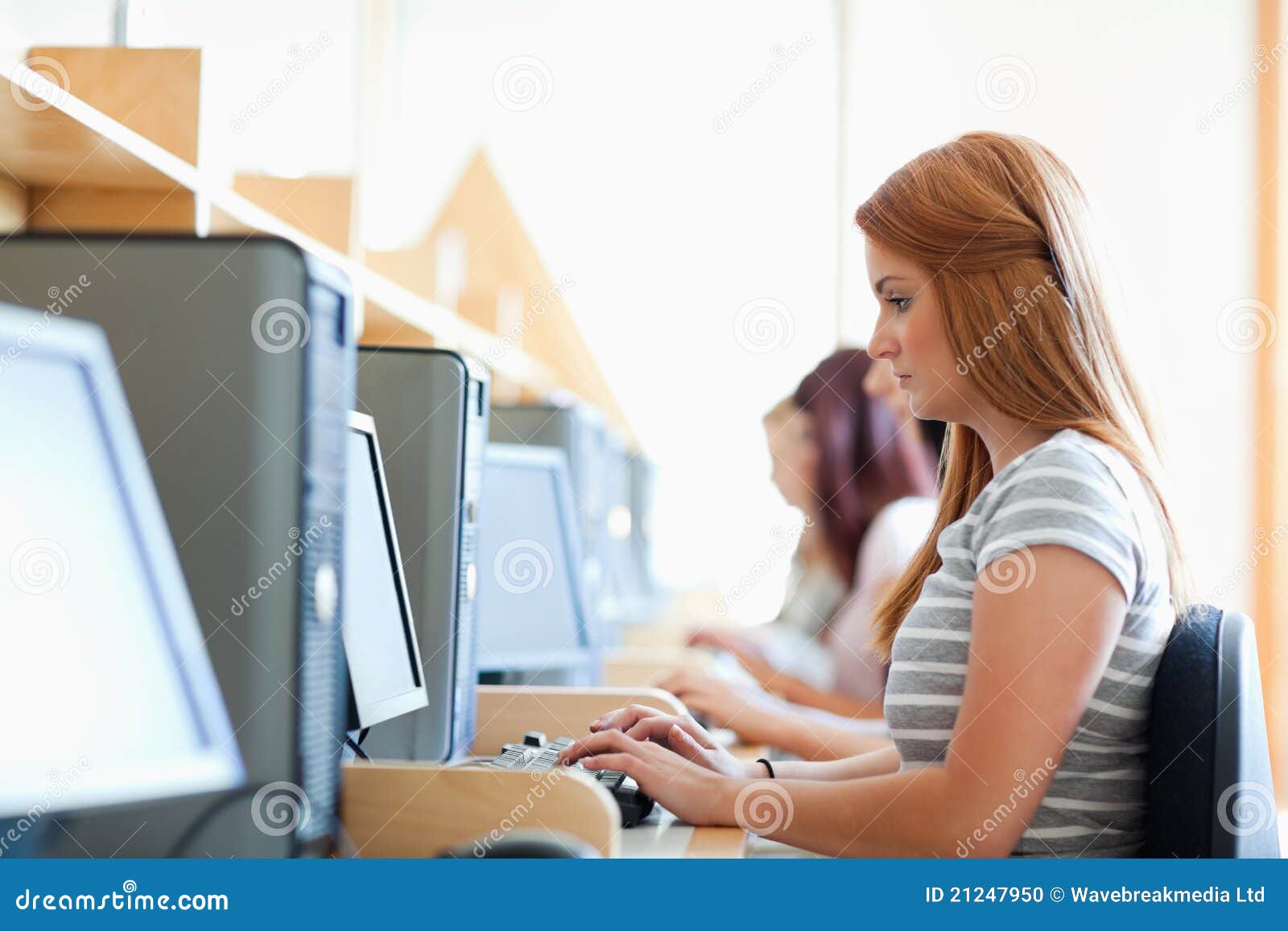 Serious Student Working with a Computer Stock Photo - Image of learning ...