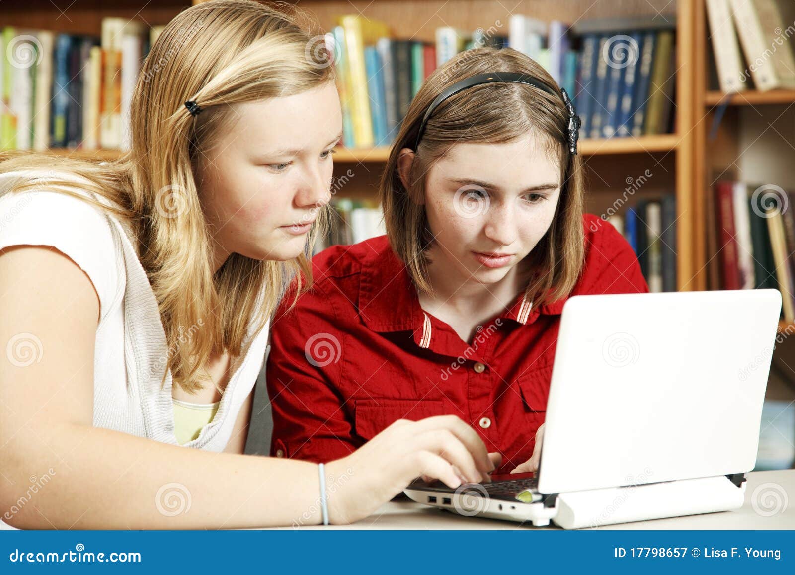Serious Studying Online stock image. Image of girls, busy - 17798657