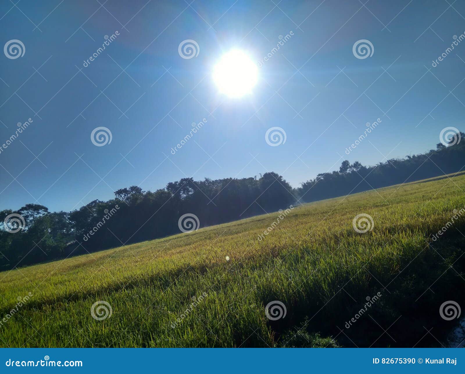Serious Sun stock photo. Image of everyday, serious, bright - 82675390