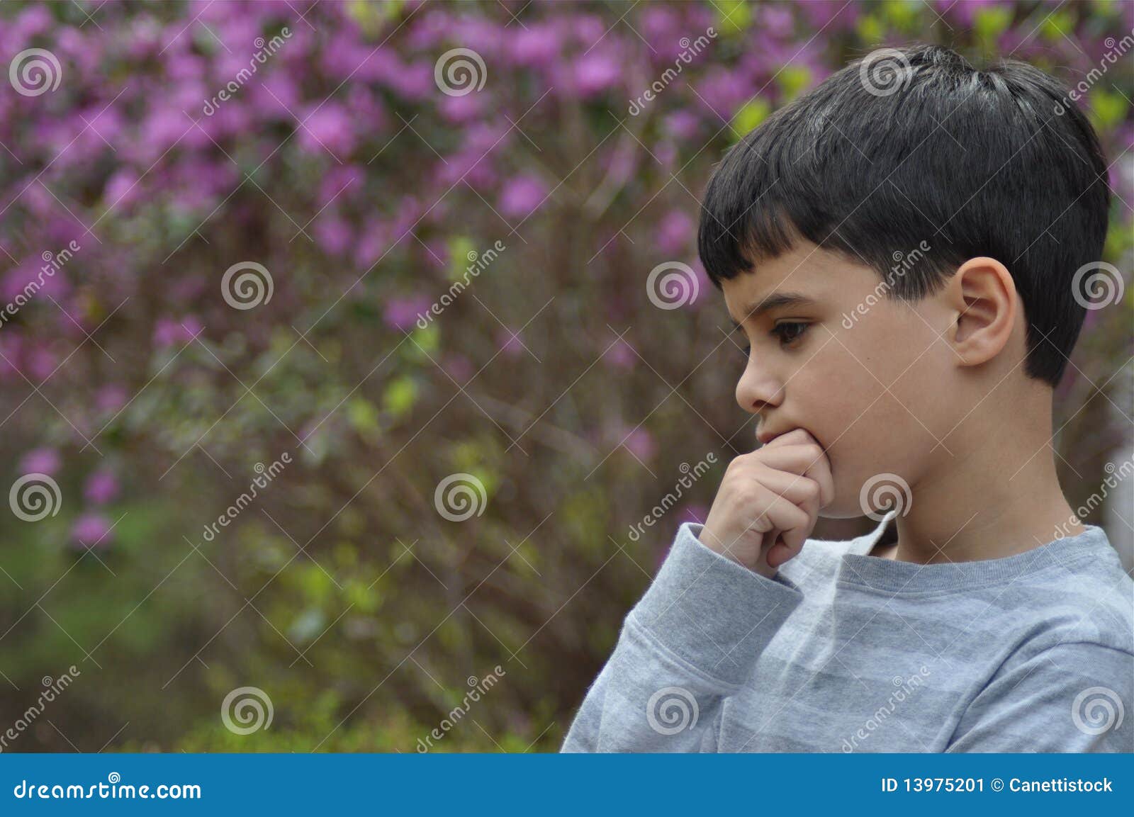 Serious Thinker stock image. Image of cuban, brown, good - 13975201