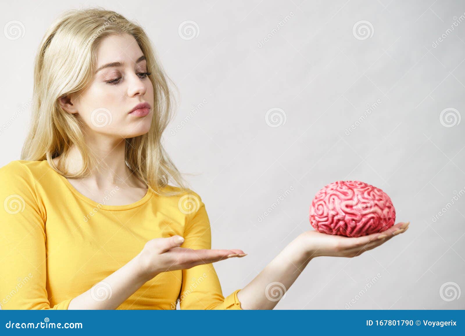 Serious Woman Holding Fake Brain Stock Photo - Image of smart, knowing ... Serious Woman Holding Fake Brain Stock Photo - Image of smart, knowing ...