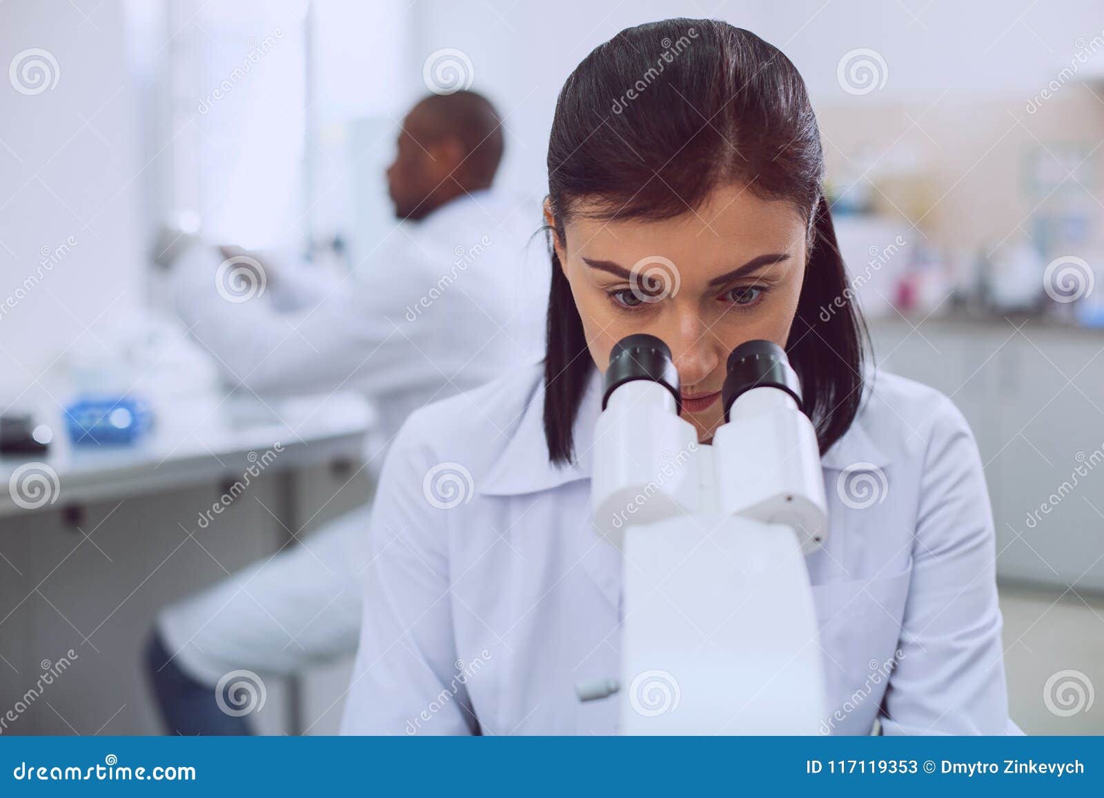 Serious Young Bioengineer Working in the Lab Stock Image - Image of ...