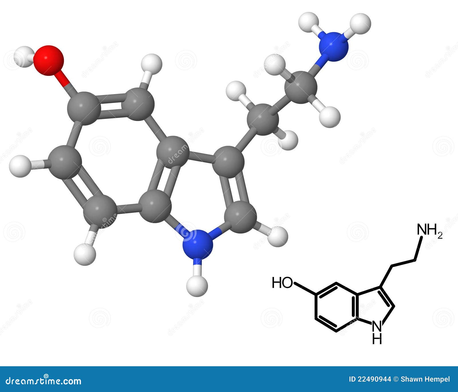 Serotonin stock illustration. Illustration of scientific - 22490944