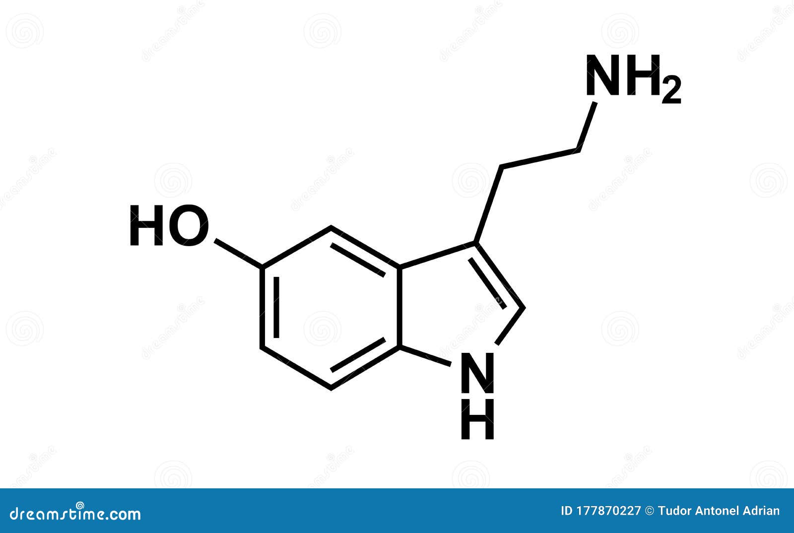 Serotonin Chemical Formula. Serotonin Structural Chemical Formula ... Serotonin Chemical Formula. Serotonin Structural Chemical Formula ...