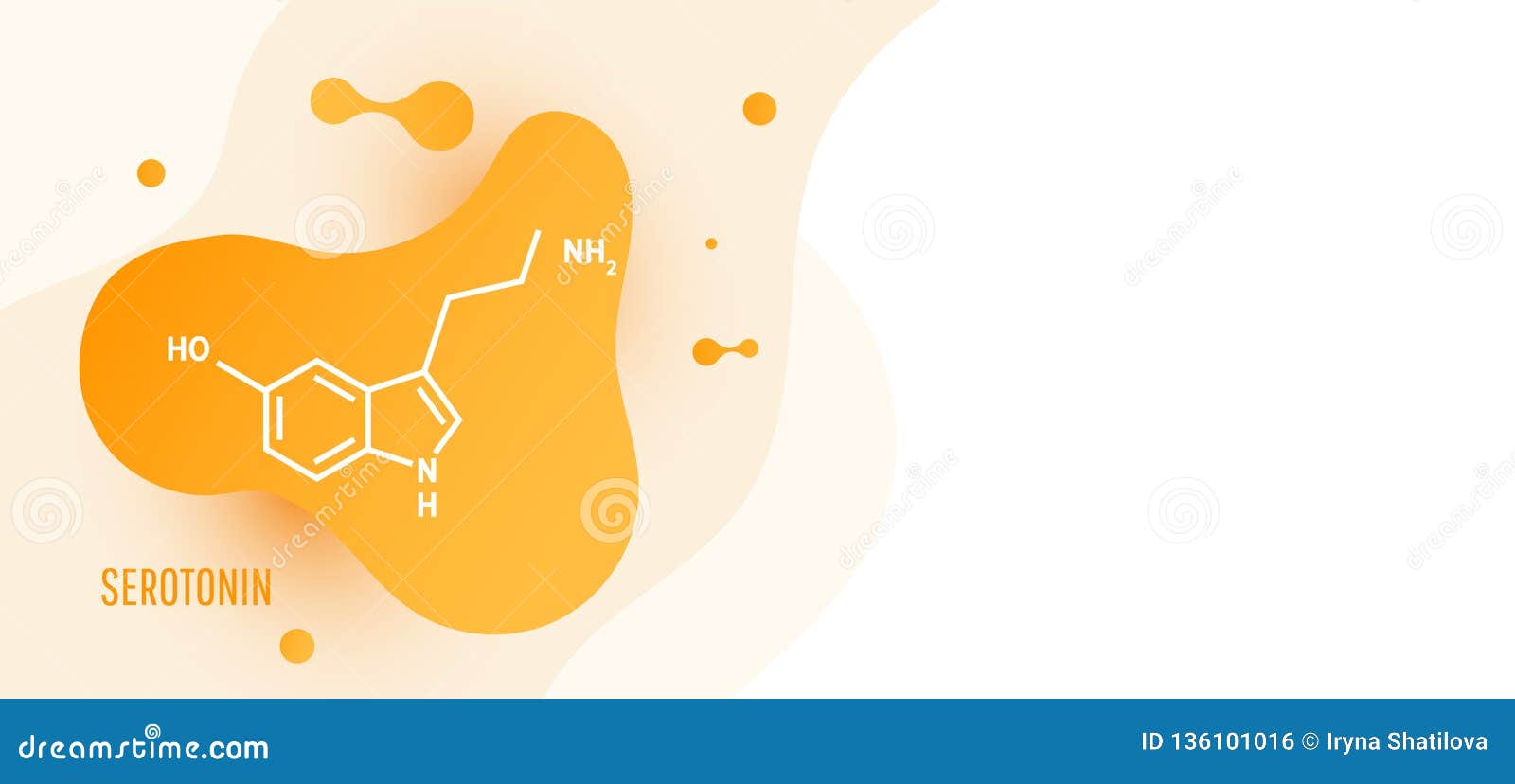 Serotonin Hormone Structural Chemical Formula Stock Vector ...
