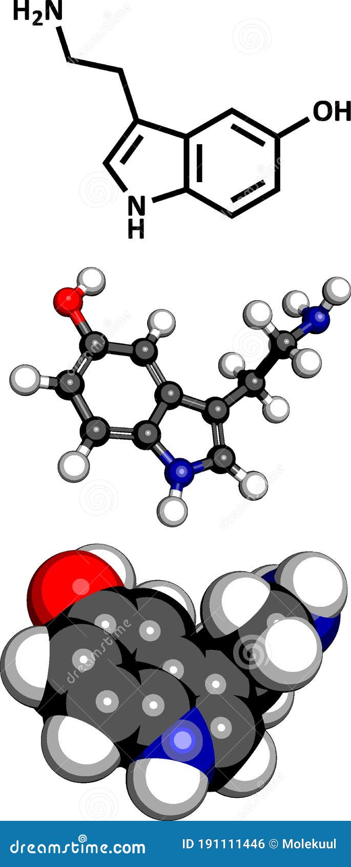 Serotonin Neurotransmitter Molecule, Chemical Structure Stock Vector ...