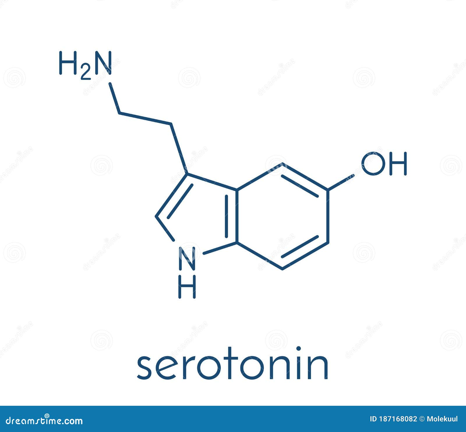 Serotonin Neurotransmitter Molecule. Skeletal Formula. Stock Vector ...