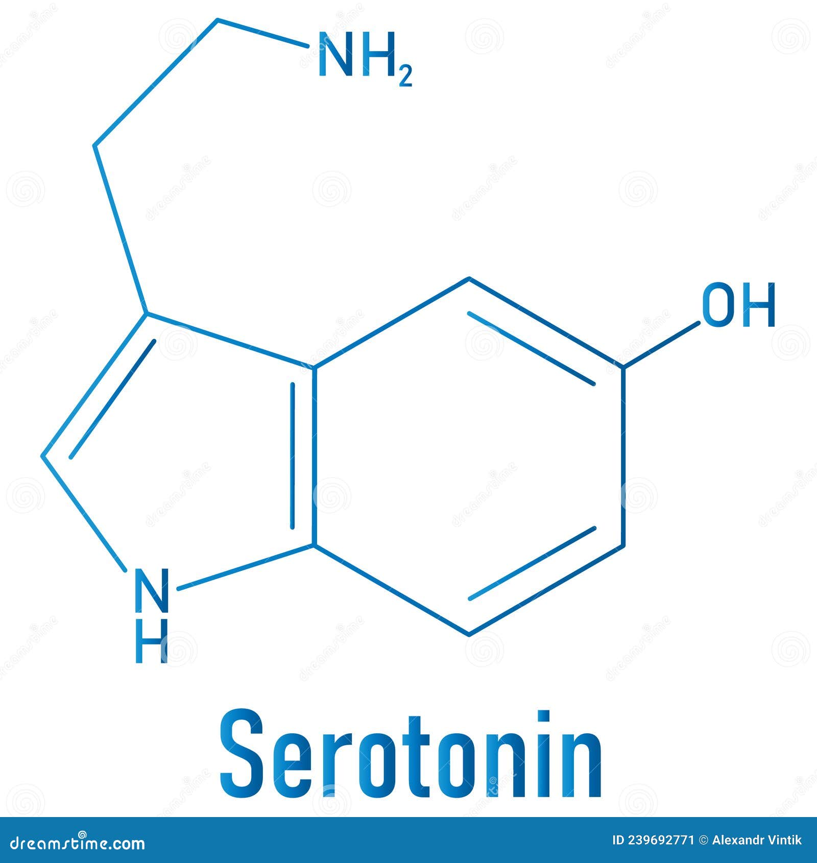 Serotonin Neurotransmitter Molecule. Skeletal Formula Stock Vector ...