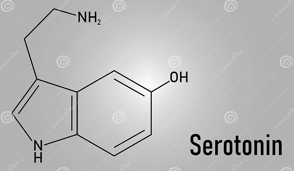 Serotonin Neurotransmitter Molecule. Skeletal Formula Stock Vector ...
