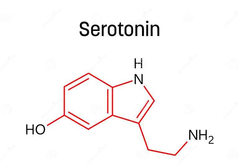 Serotonin Structural Formula of Molecular Structure Stock Vector ...