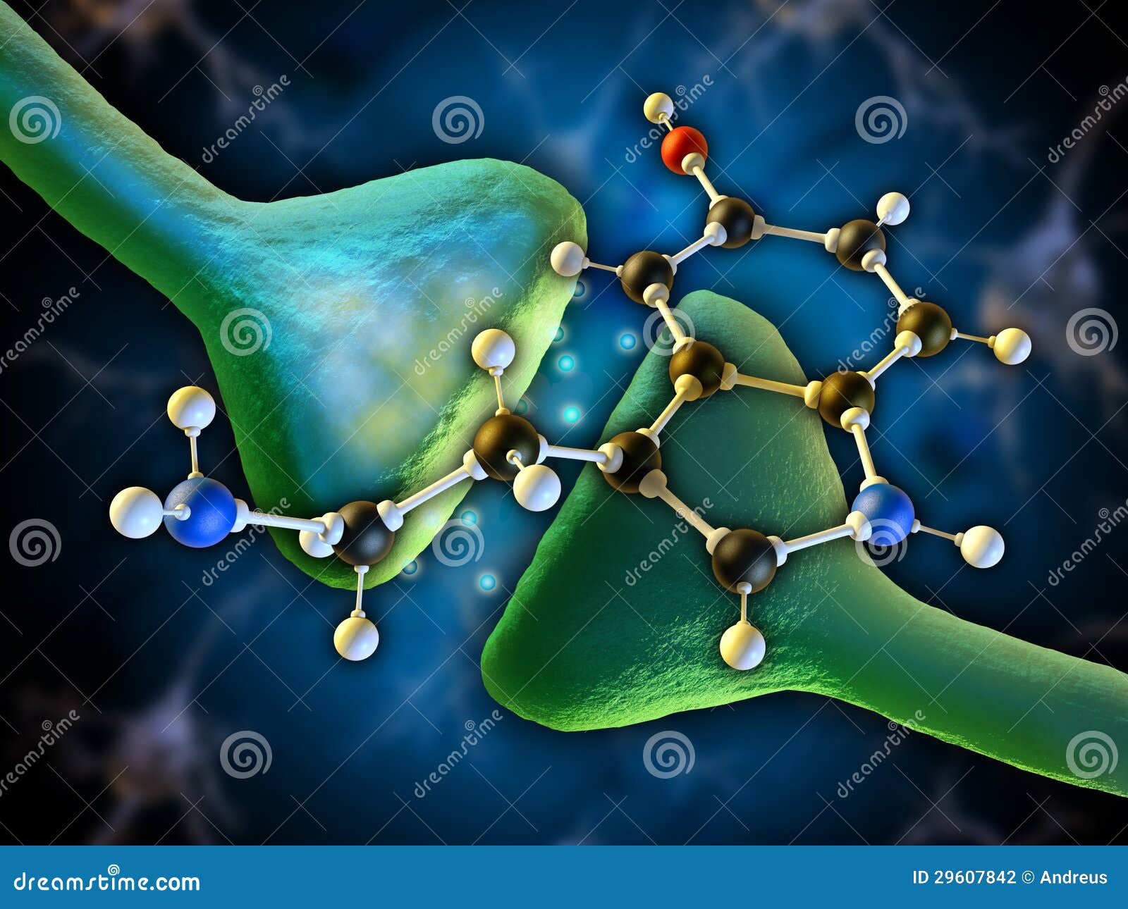 Serotonina Fotografía de archivo - Imagen: 29607842