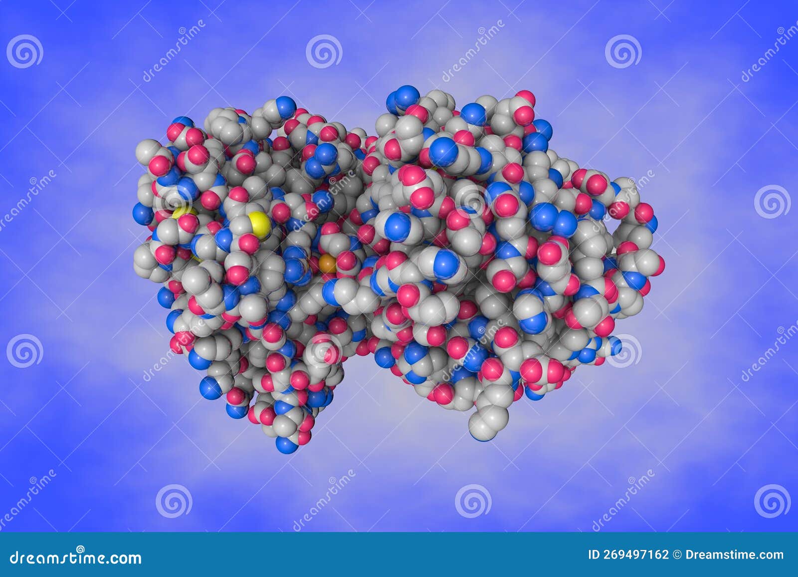 Serotransferrin Molecule. Space-filling Molecular Model. 3d ...