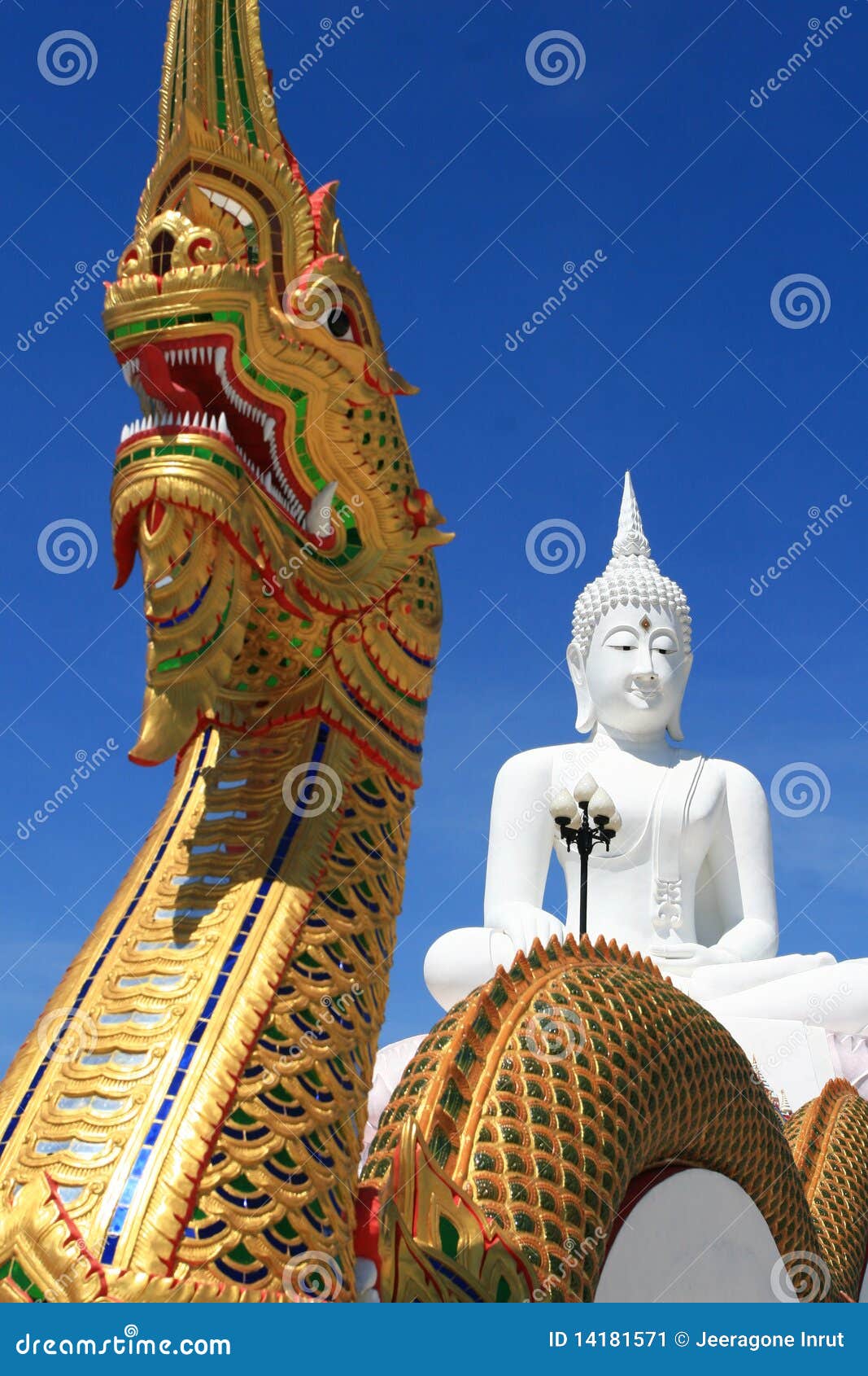 Serpent and Buddha stock image. Image of culture, asia - 14181571