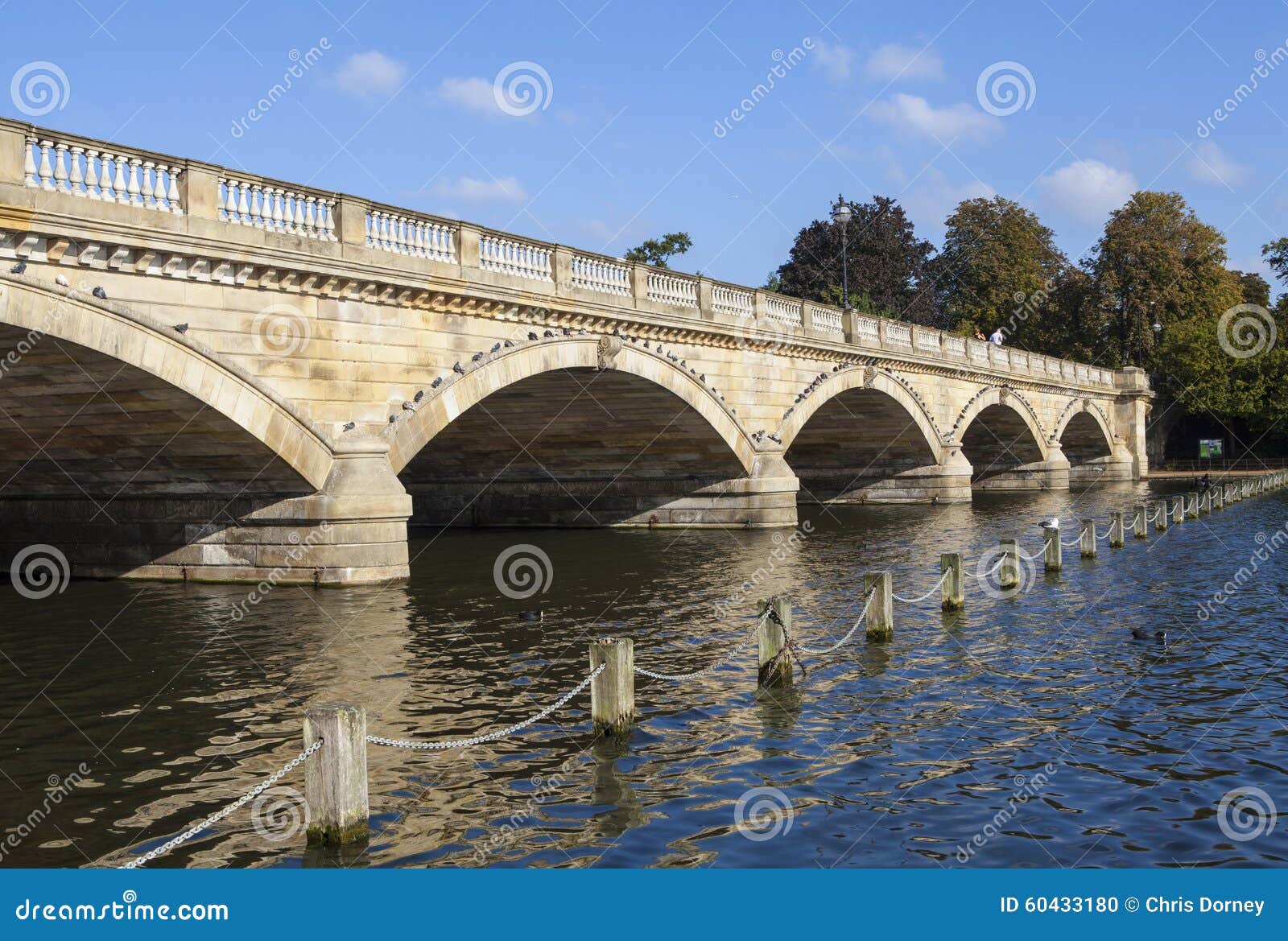 Serpentine Bridge in Hyde Park Stock Photo - Image of landmark, gardens ...