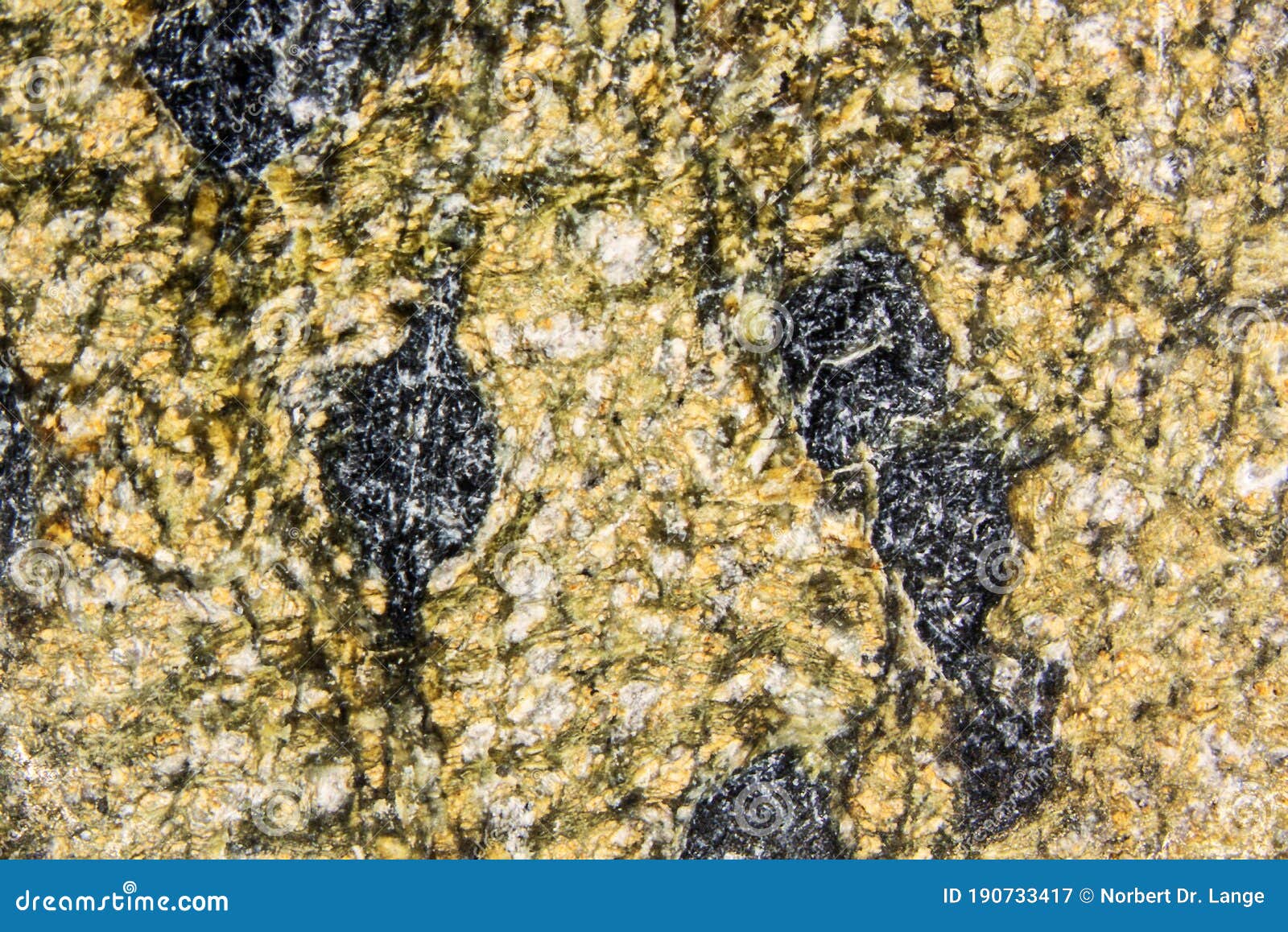 Serpentine Mineral Under The Microscope Royalty-Free Stock Photography ...