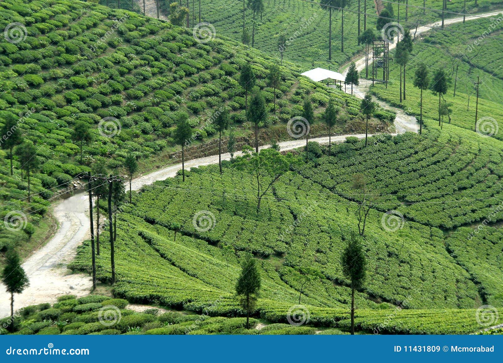 Serpentine Path stock image. Image of path, pleasing - 11431809