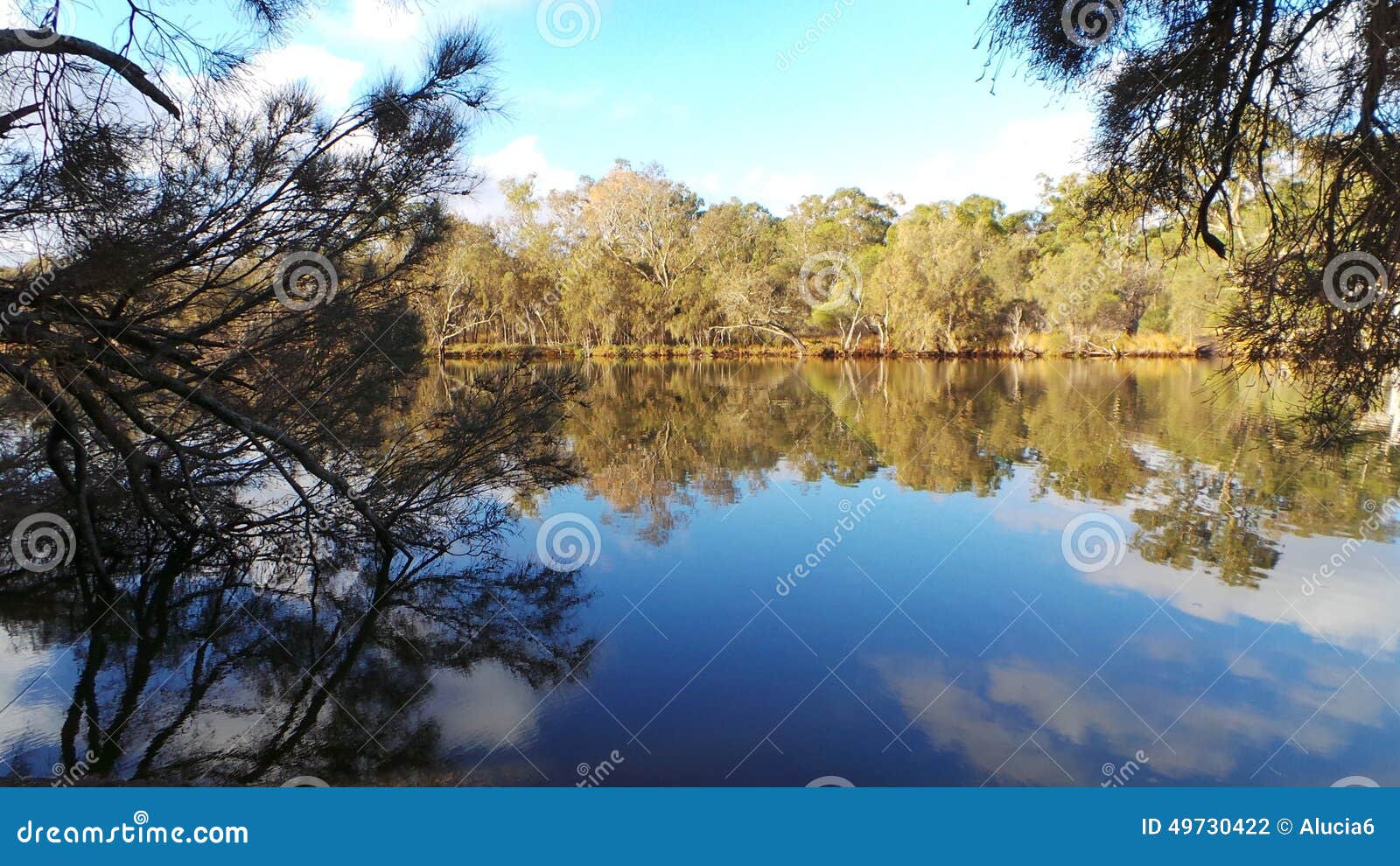 River Reflections stock photo. Image of australia, landscape - 49730422