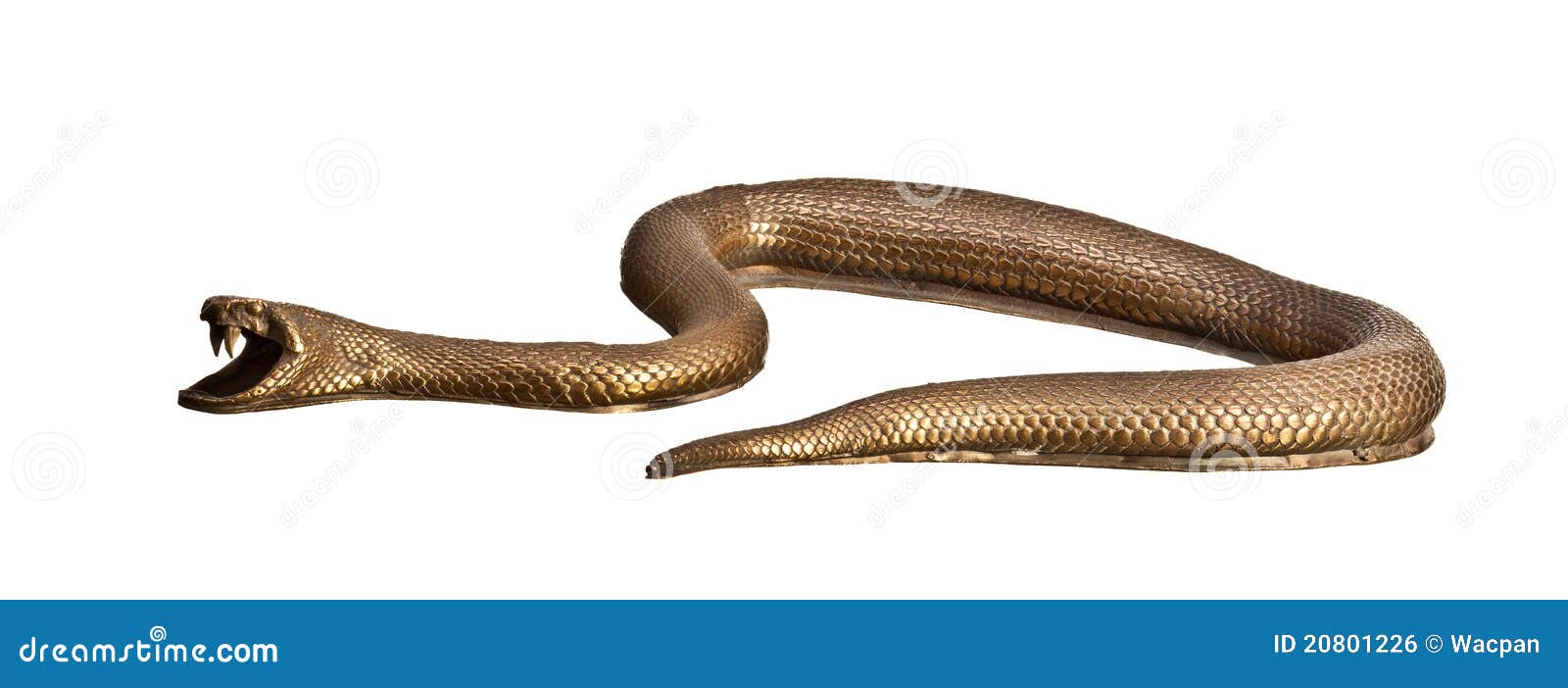 Serpiente del metal foto de archivo. Imagen de blanco - 20801226