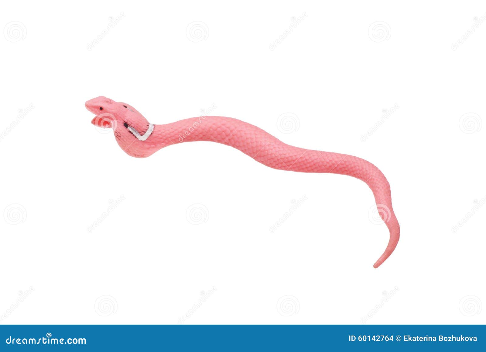 Serpiente Rosada Del Juguete Foto de archivo - Imagen de fondo, cubo ...