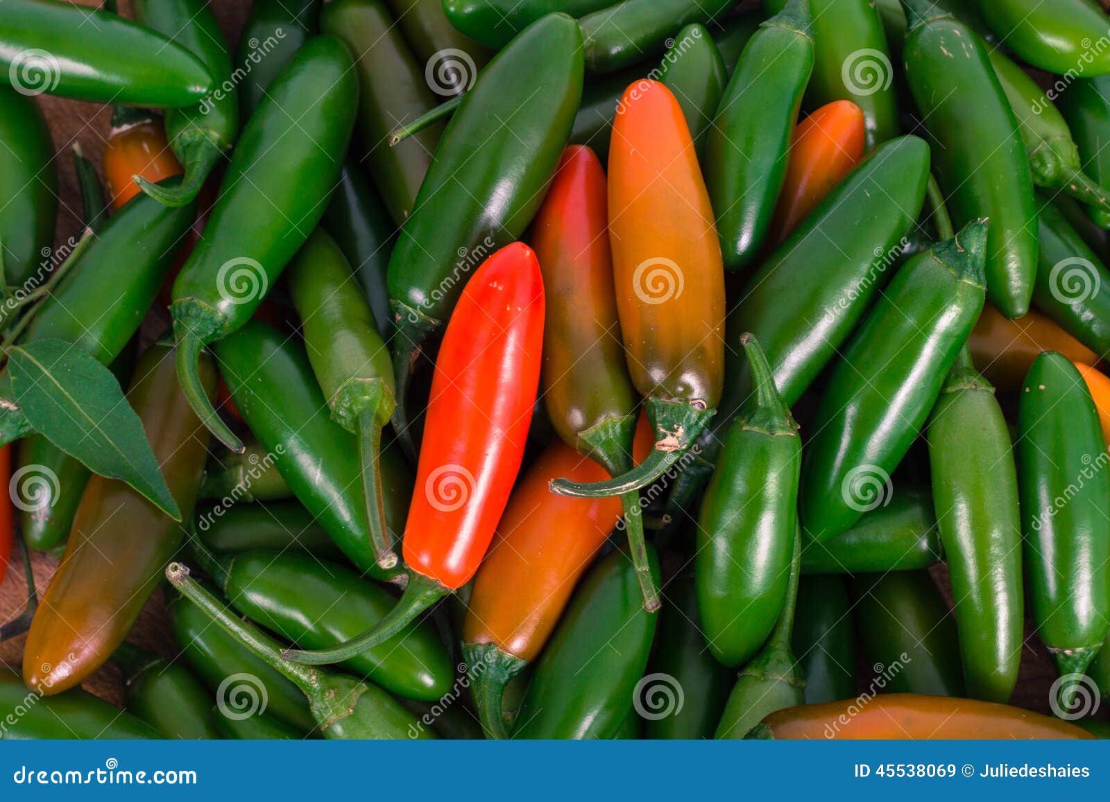Serrano jalapeno pepper stock image. Image of crop, serrano - 45538069