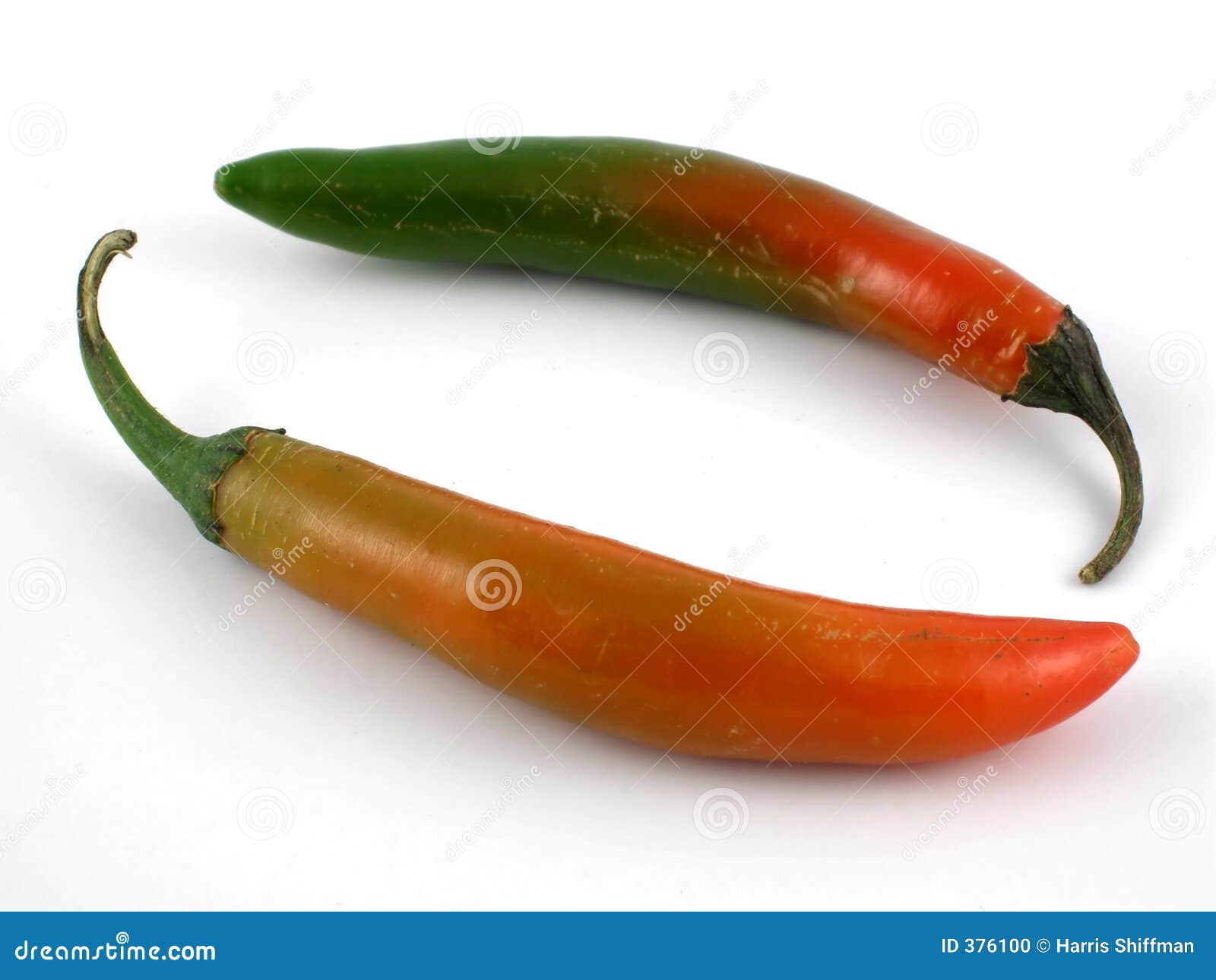 Serrano peppers stock photo. Image of pepper, orange, chili - 376100