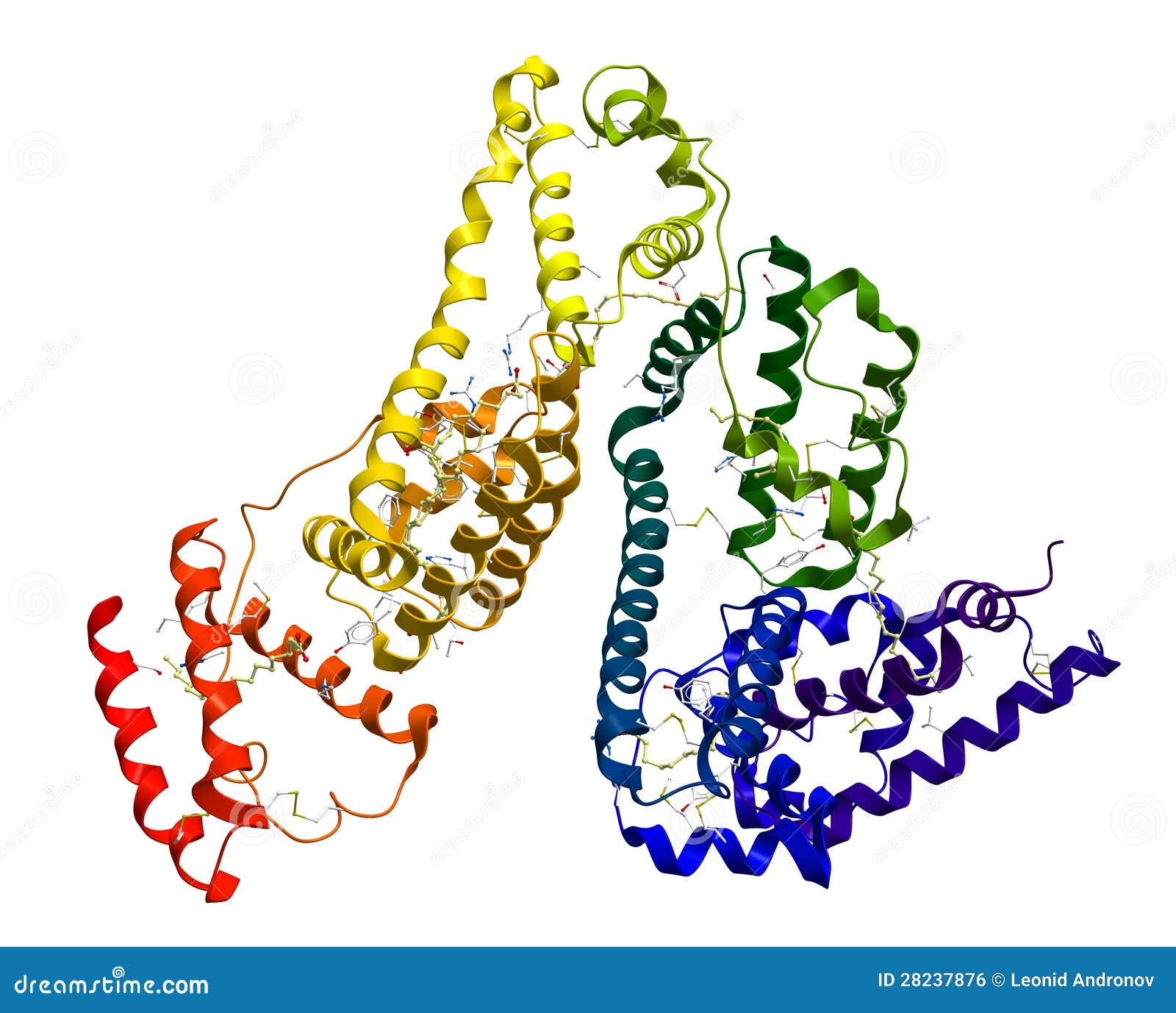 Serum Albumin Molecular Structure Stock Illustration - Illustration of ...
