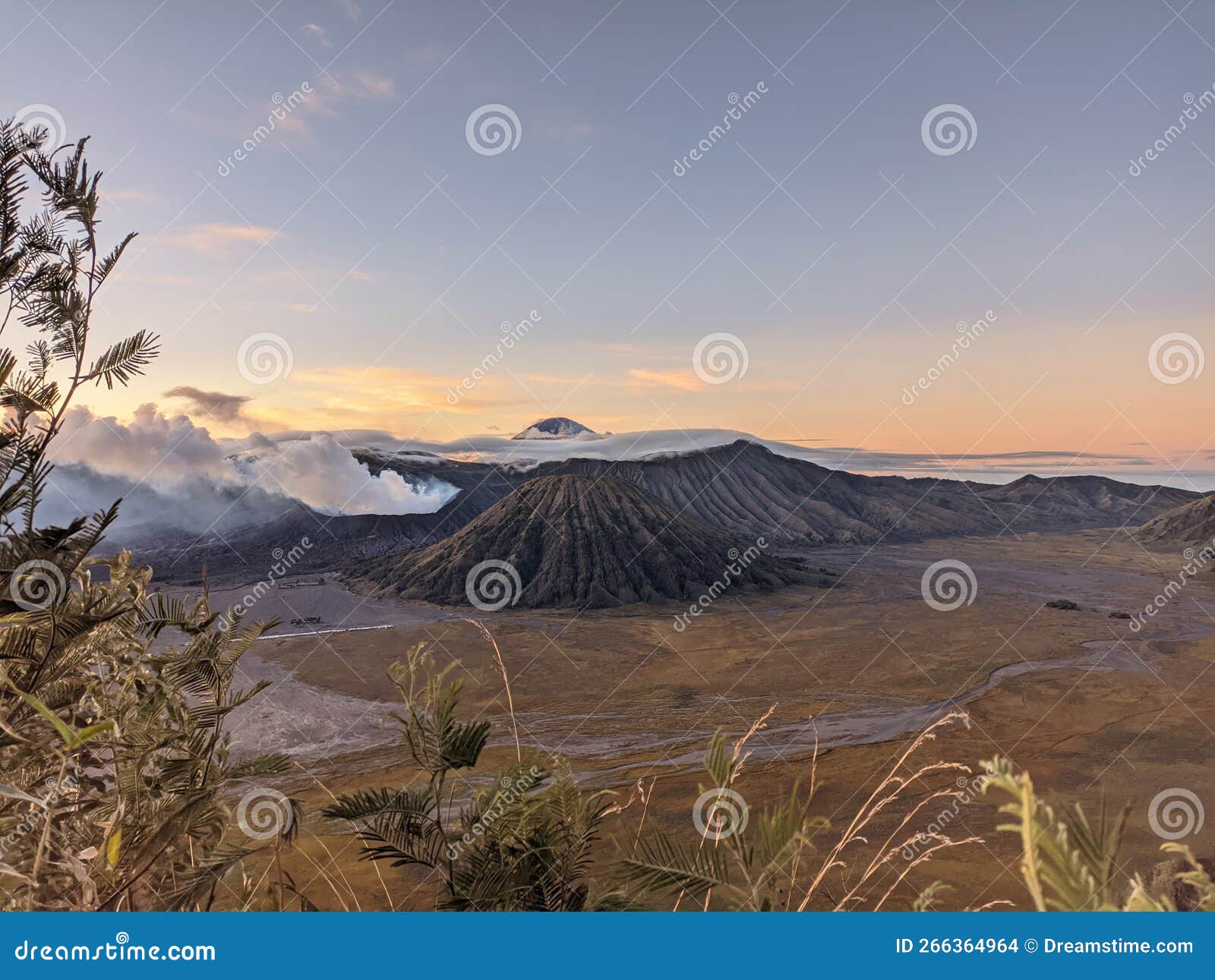 Seruni Point Bromo stock photo. Image of wilderness - 266364964