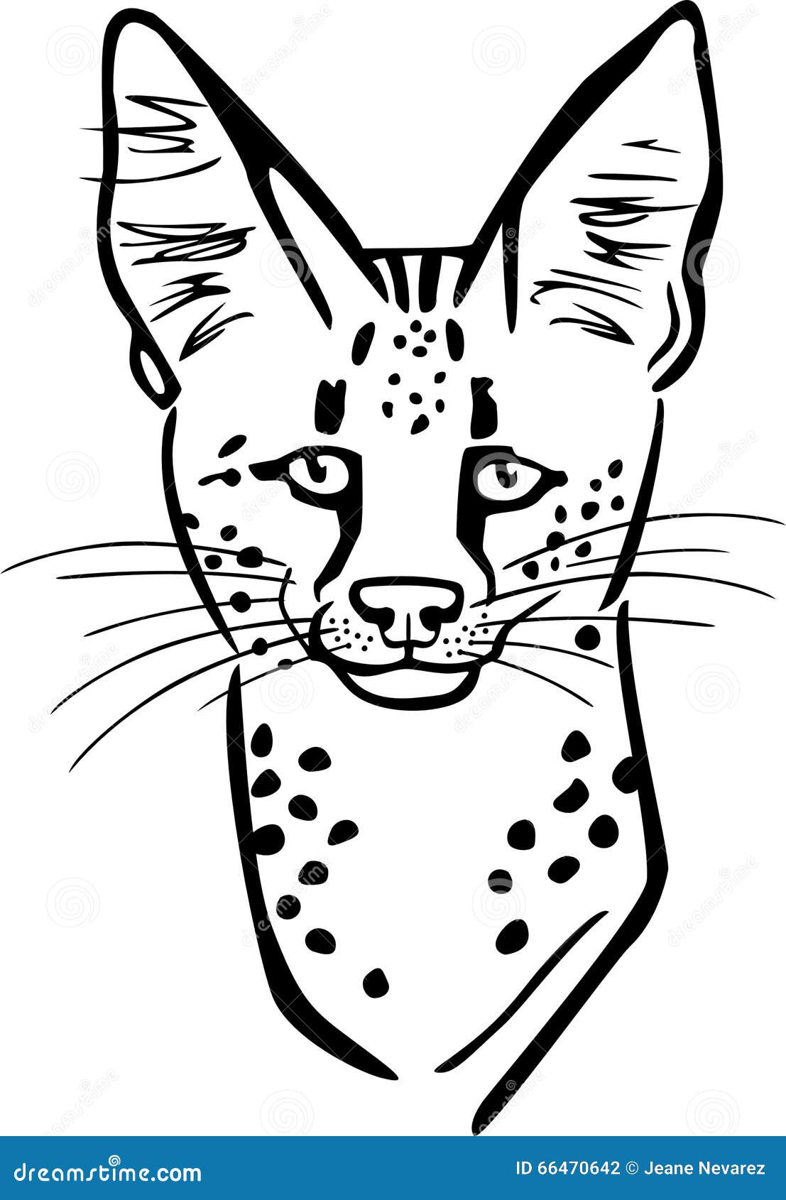 Serval Cat Face stock vector. Illustration of mammal - 66470642