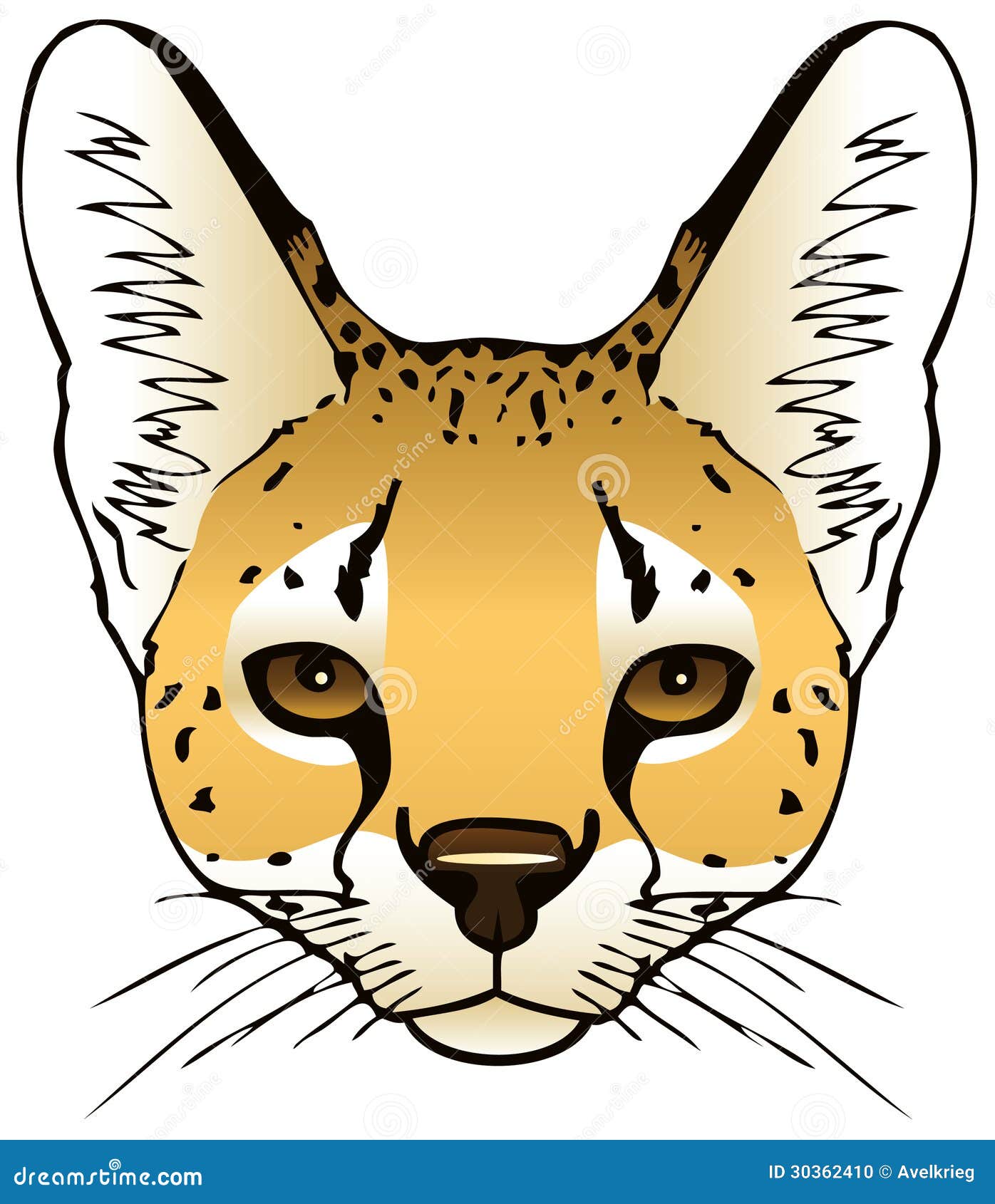 Serval Vector Illustration | CartoonDealer.com #30362410