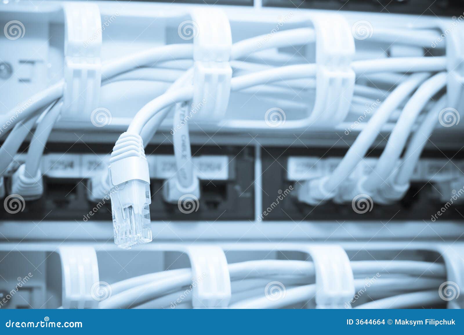 Server stock photo. Image of server, numbers, blue, global - 3644664